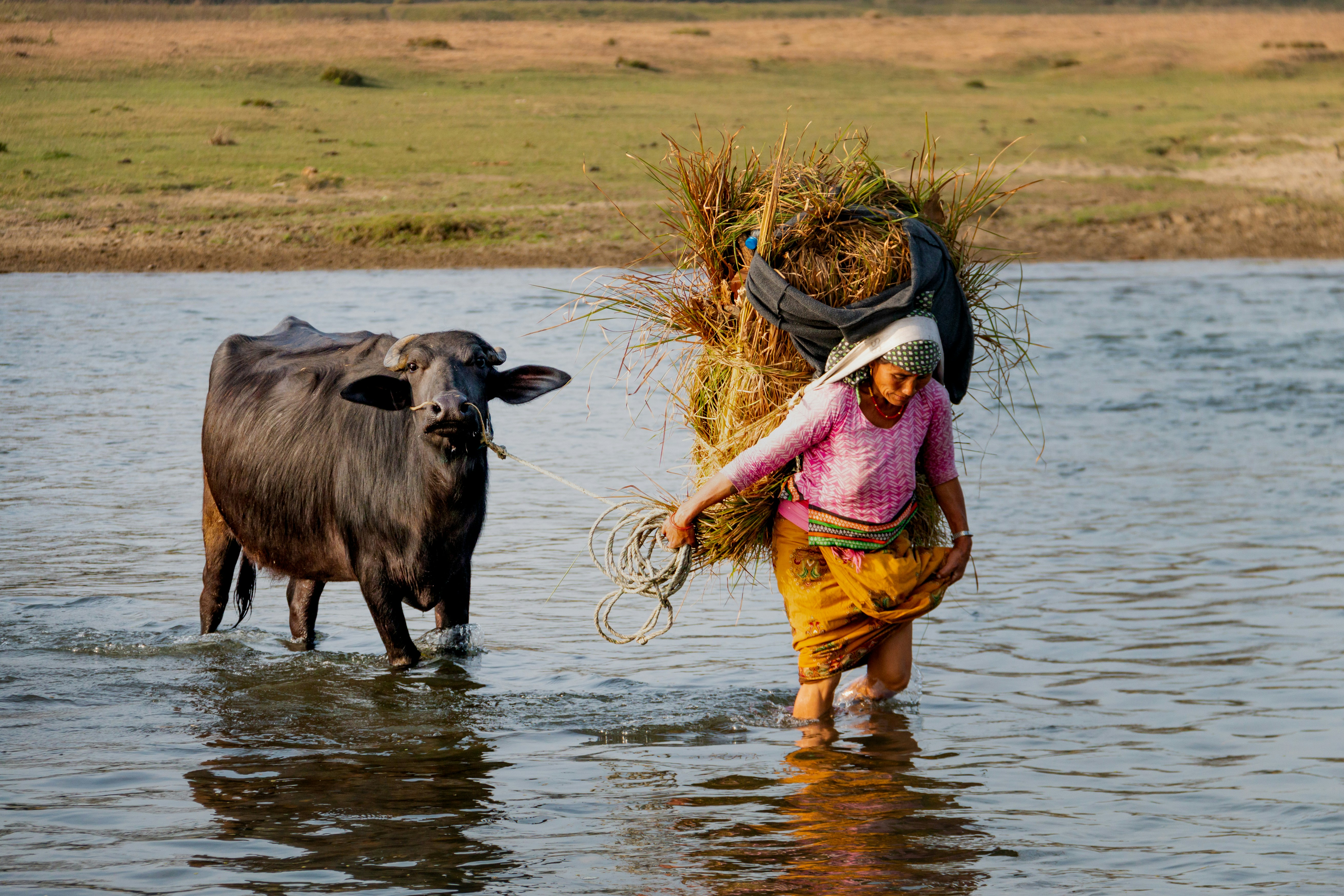 Everyday Life of a female in Chitwan