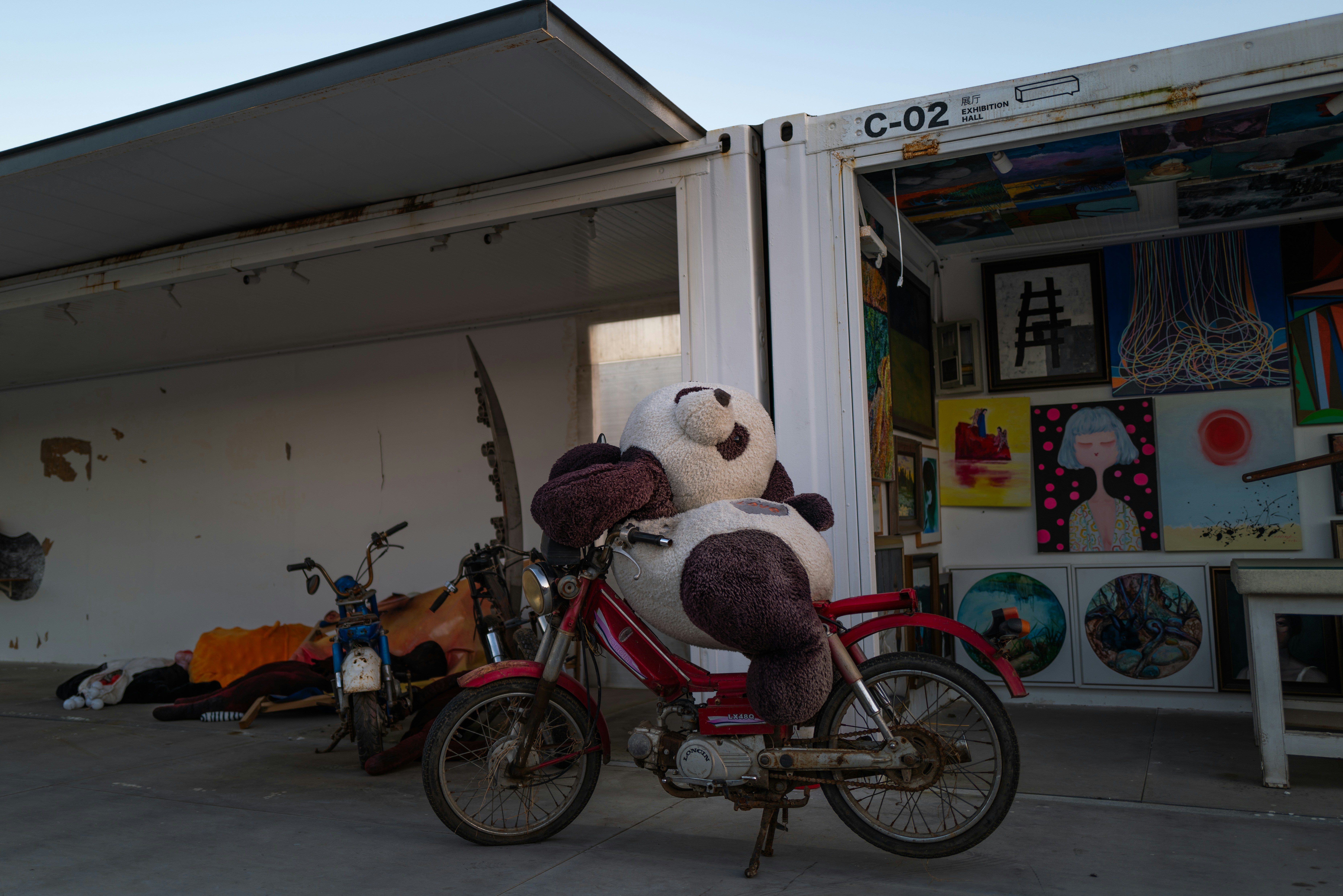Plush Rider in a Cargo-Box Gallery
