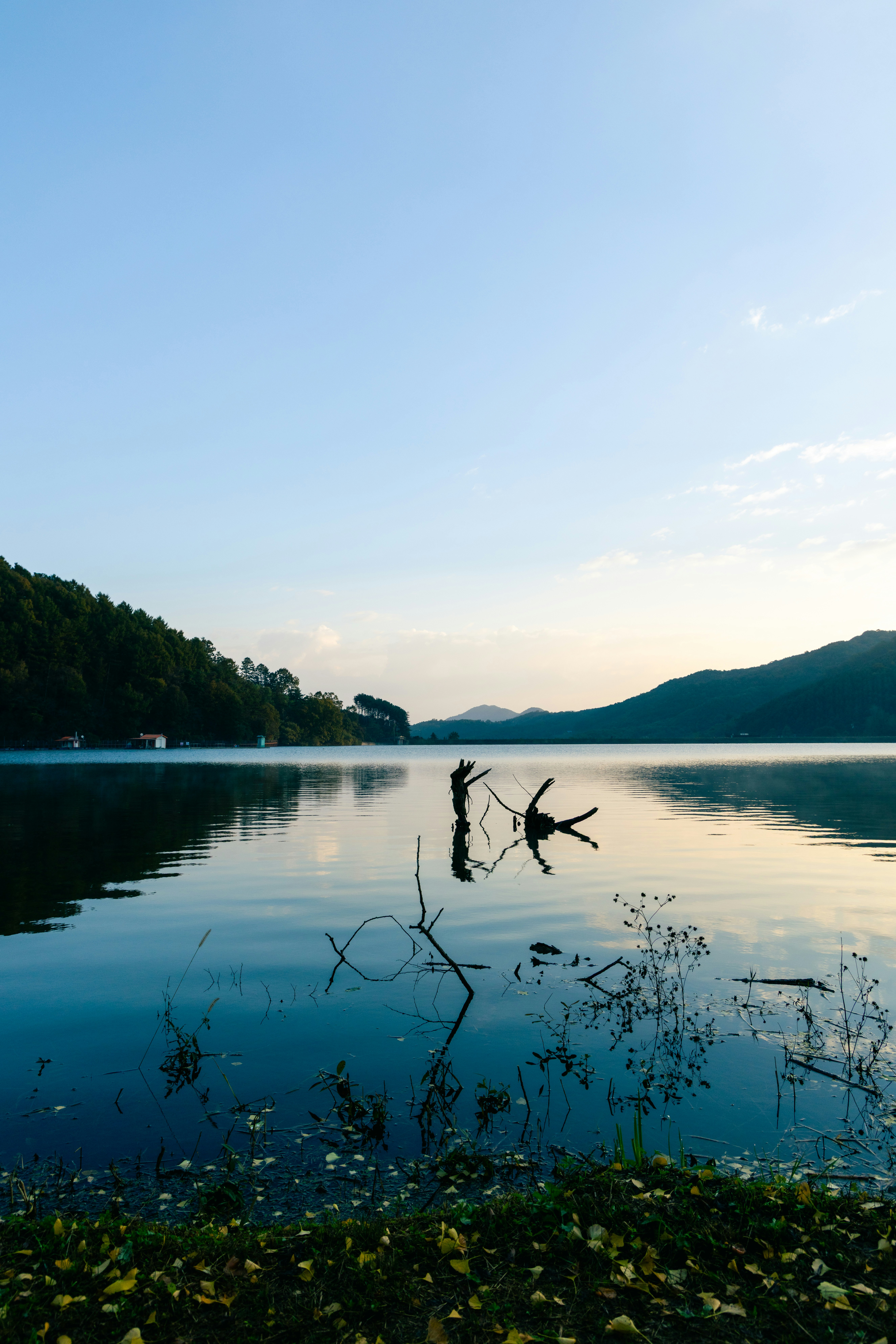 Photo by Hoseung Han with Canon EOS R5 Mark II