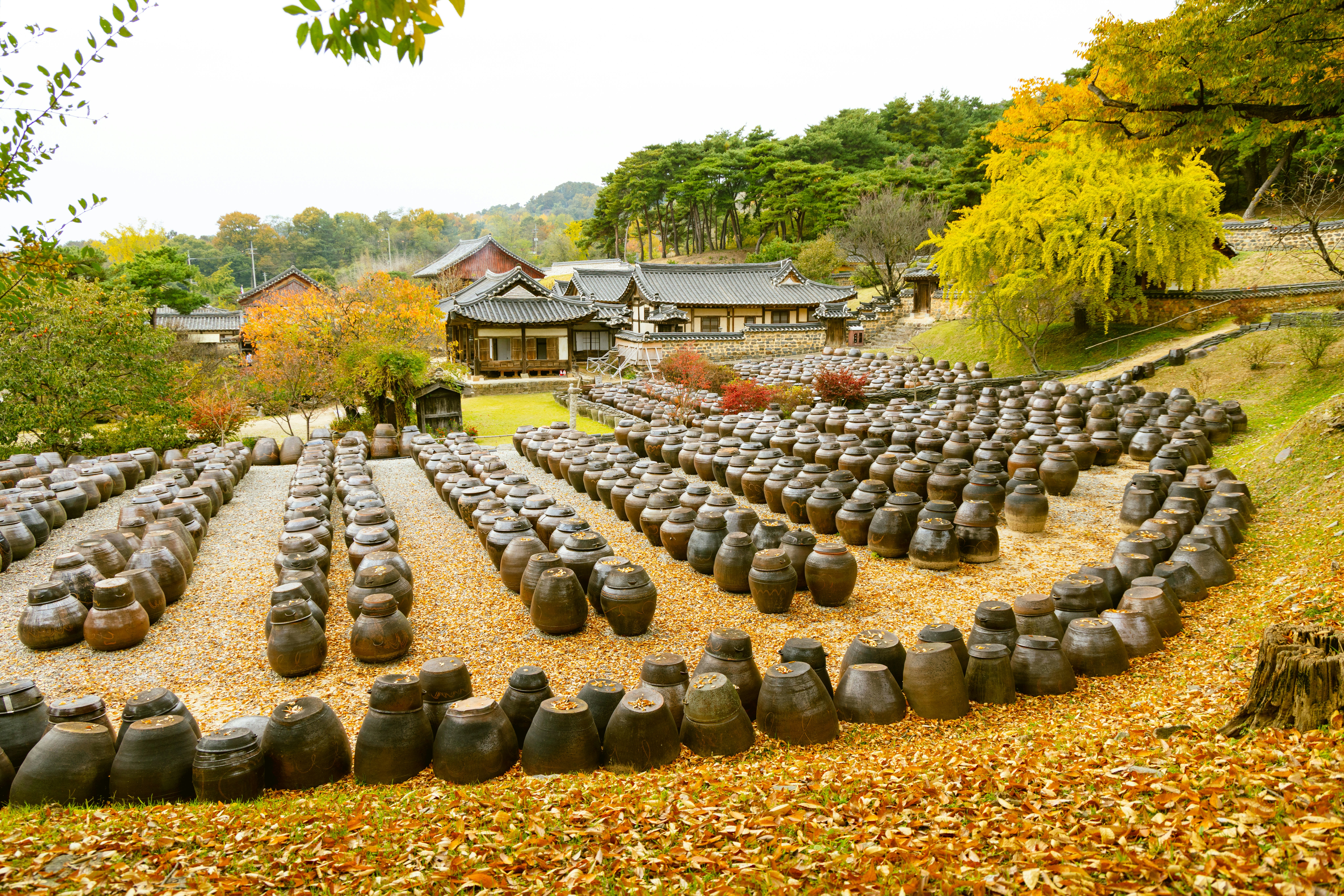 Photo by Hoseung Han with Canon EOS R5 Mark II