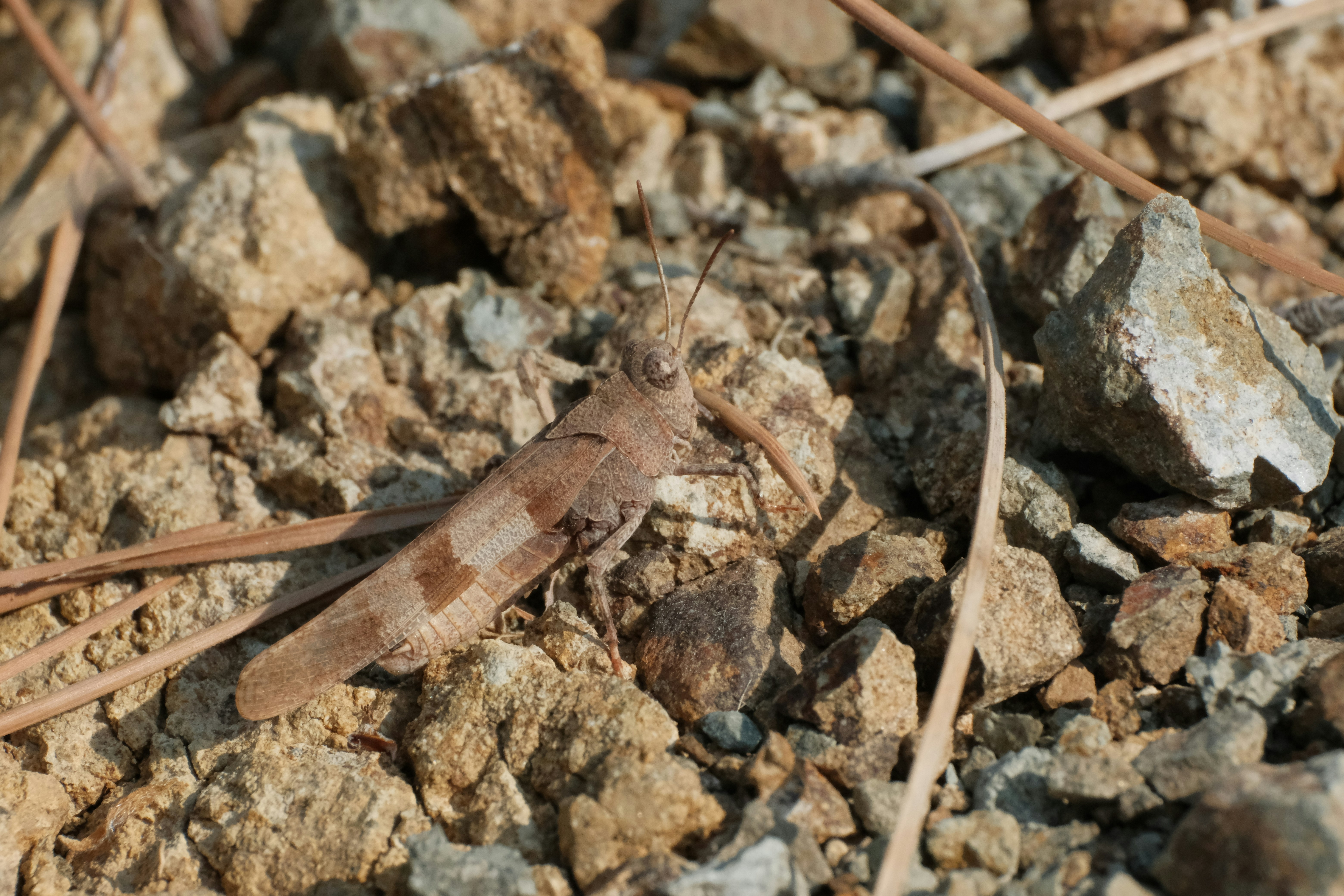 Photo by Roman Kravtsov with Fujifilm X-T30 II