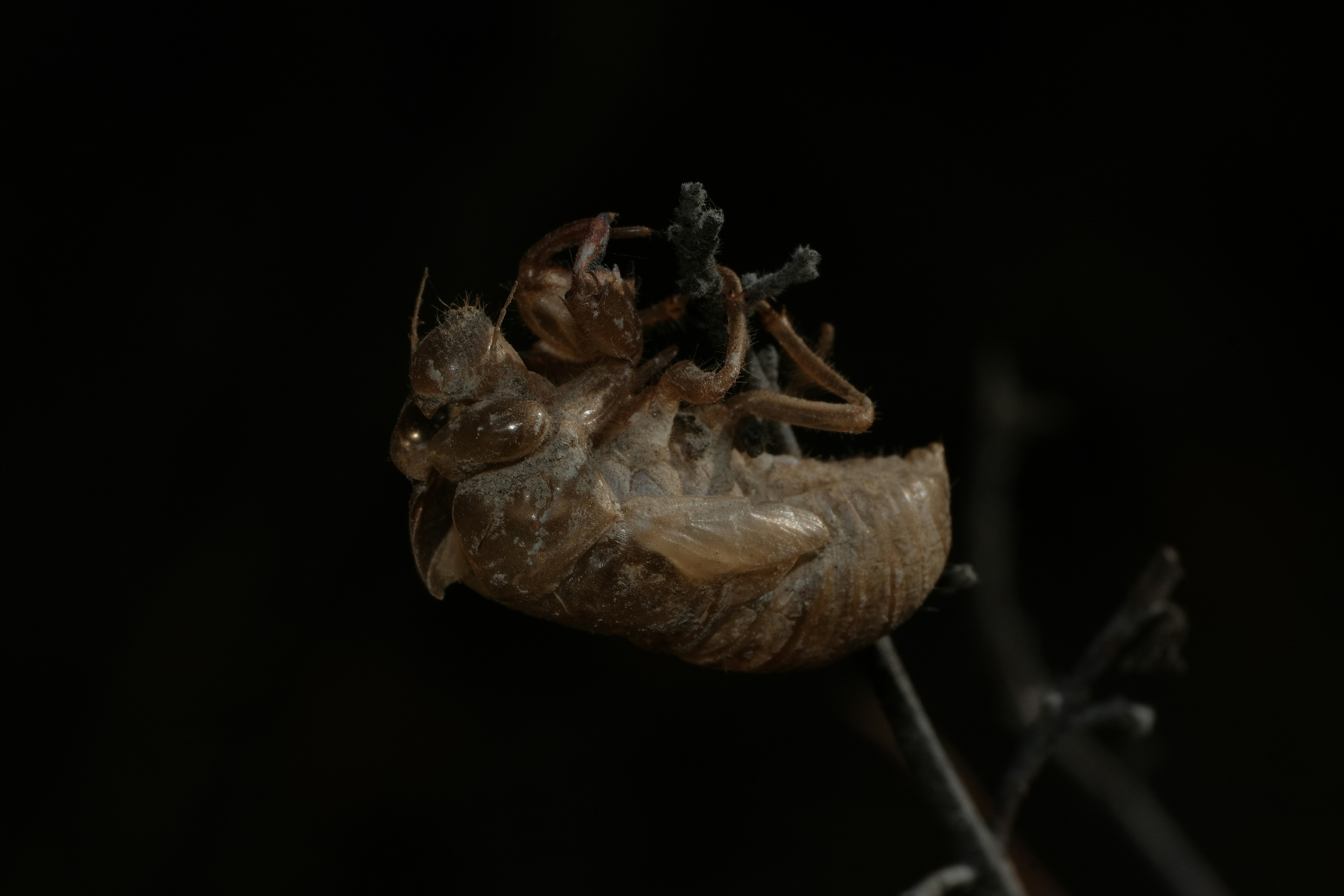 Photo by Roman Kravtsov with Fujifilm X-T30 II