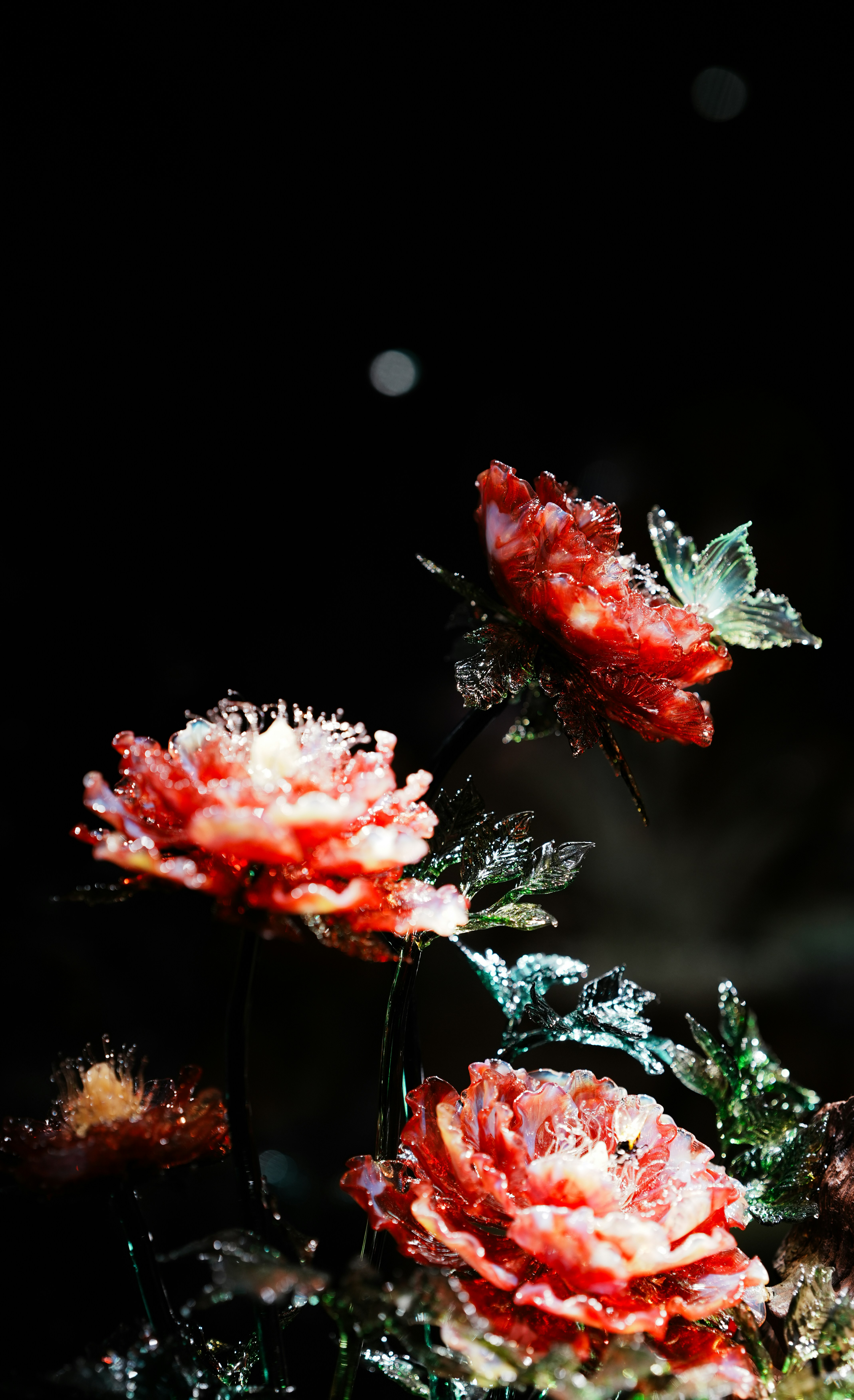 Dew-Kissed Crimson Rosettes in Velvet Night