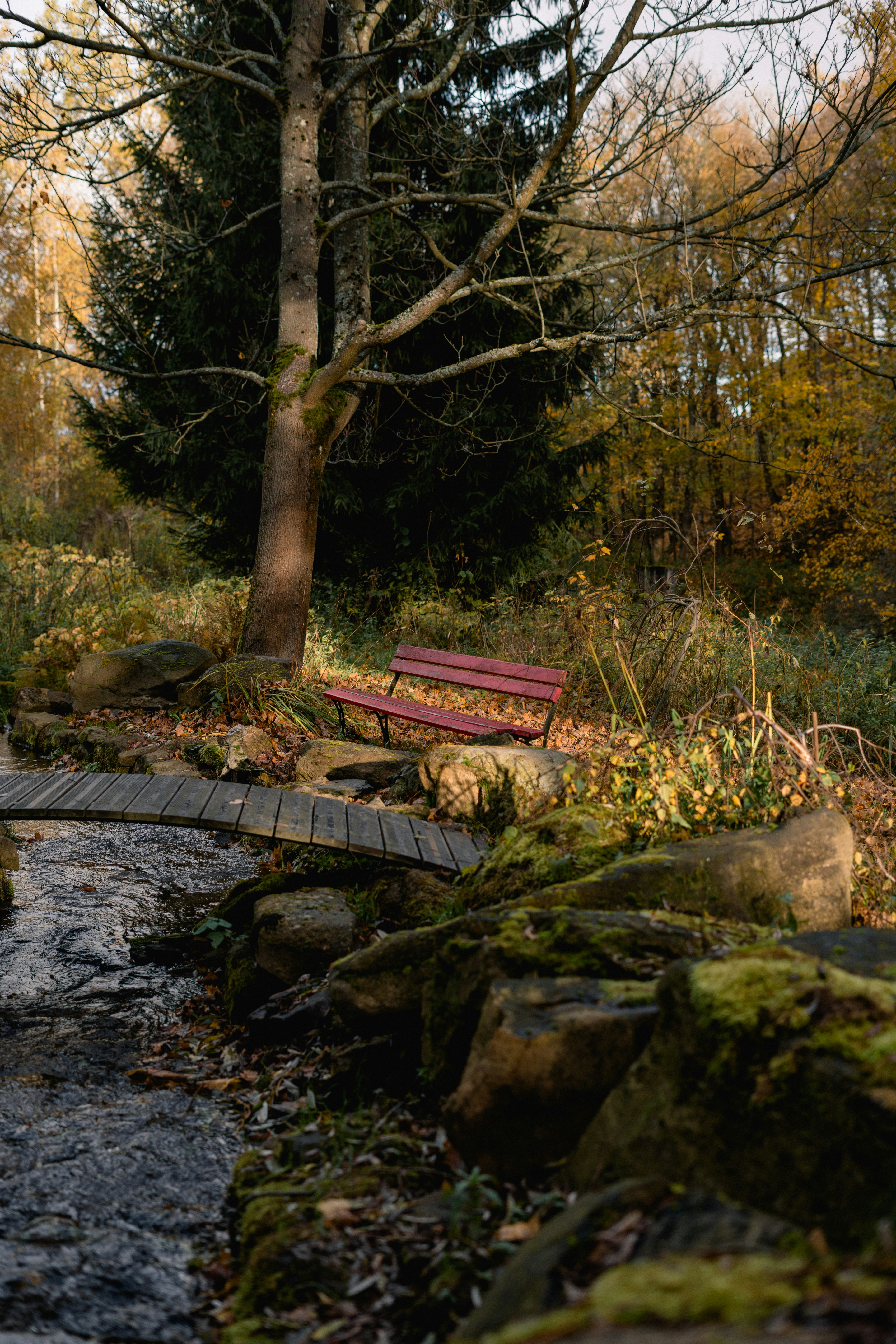Autumn park scene with a wooden bench and stream. photo – Free Autumn ...