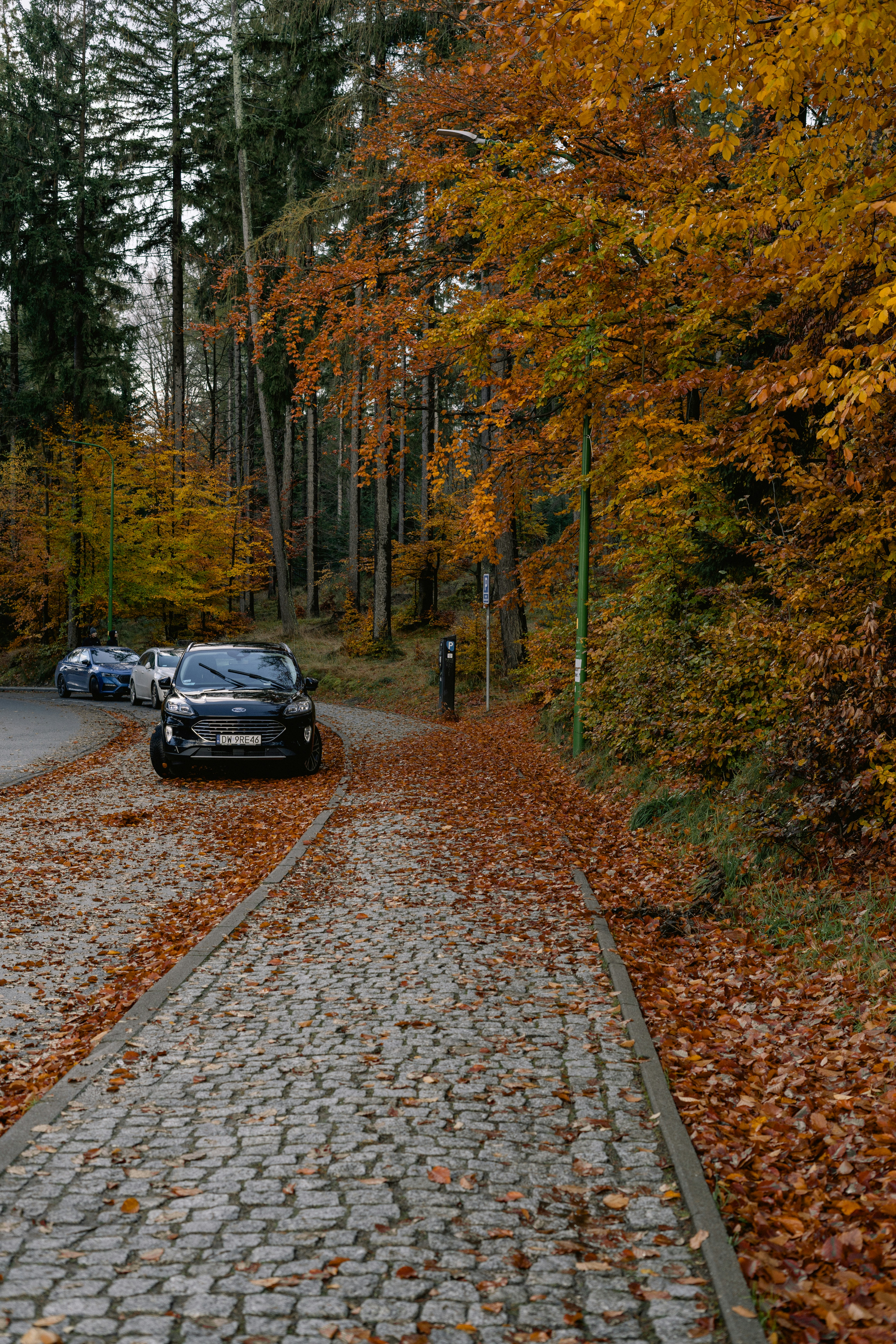 Photo by Polina Kuzovkova with Sony Alpha 7 IV