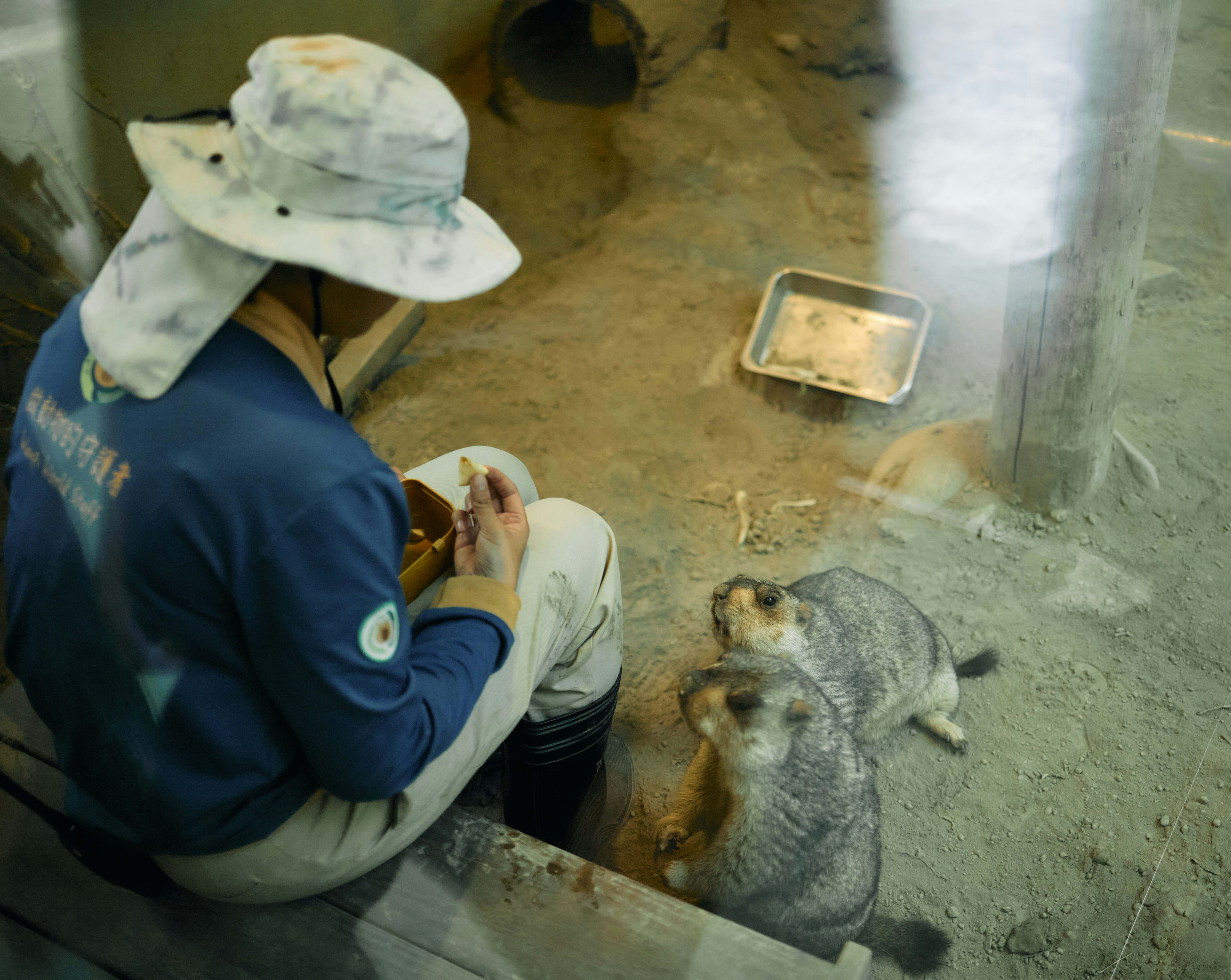 Photo by po yu with Canon EOS RP