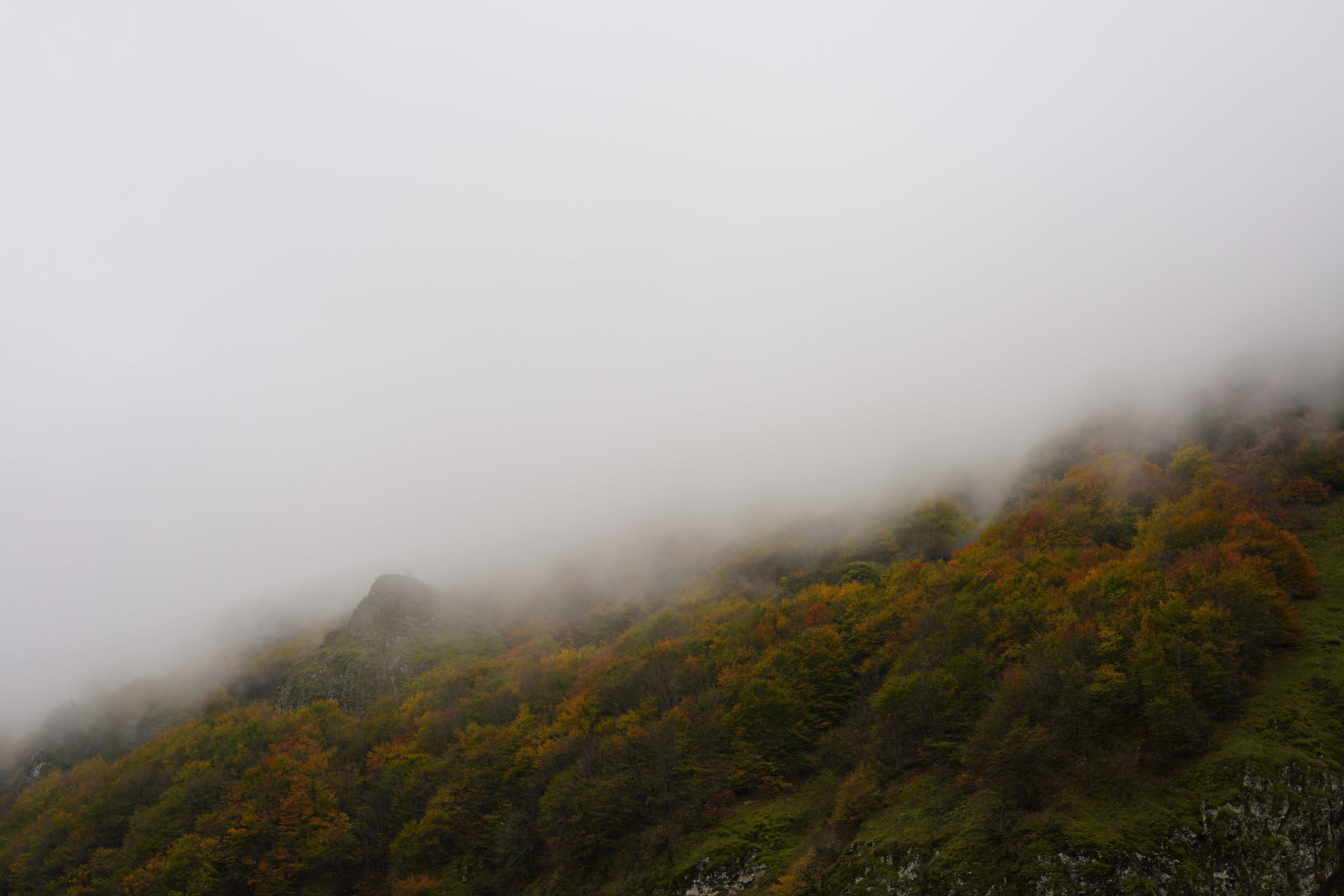 Between earth and cloud, autumn breathes.