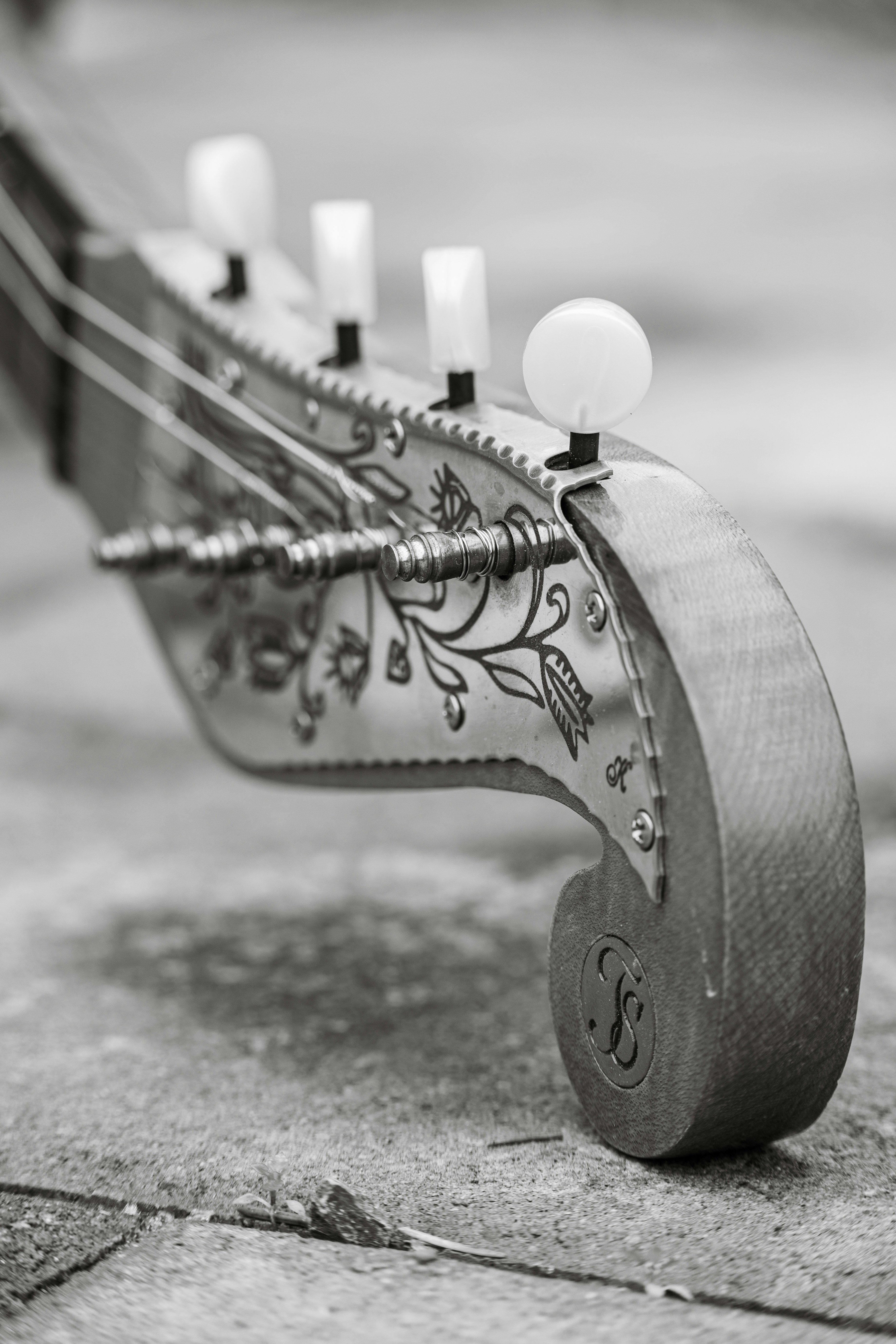 Photo by Robert Čavlović with Nikon Z30