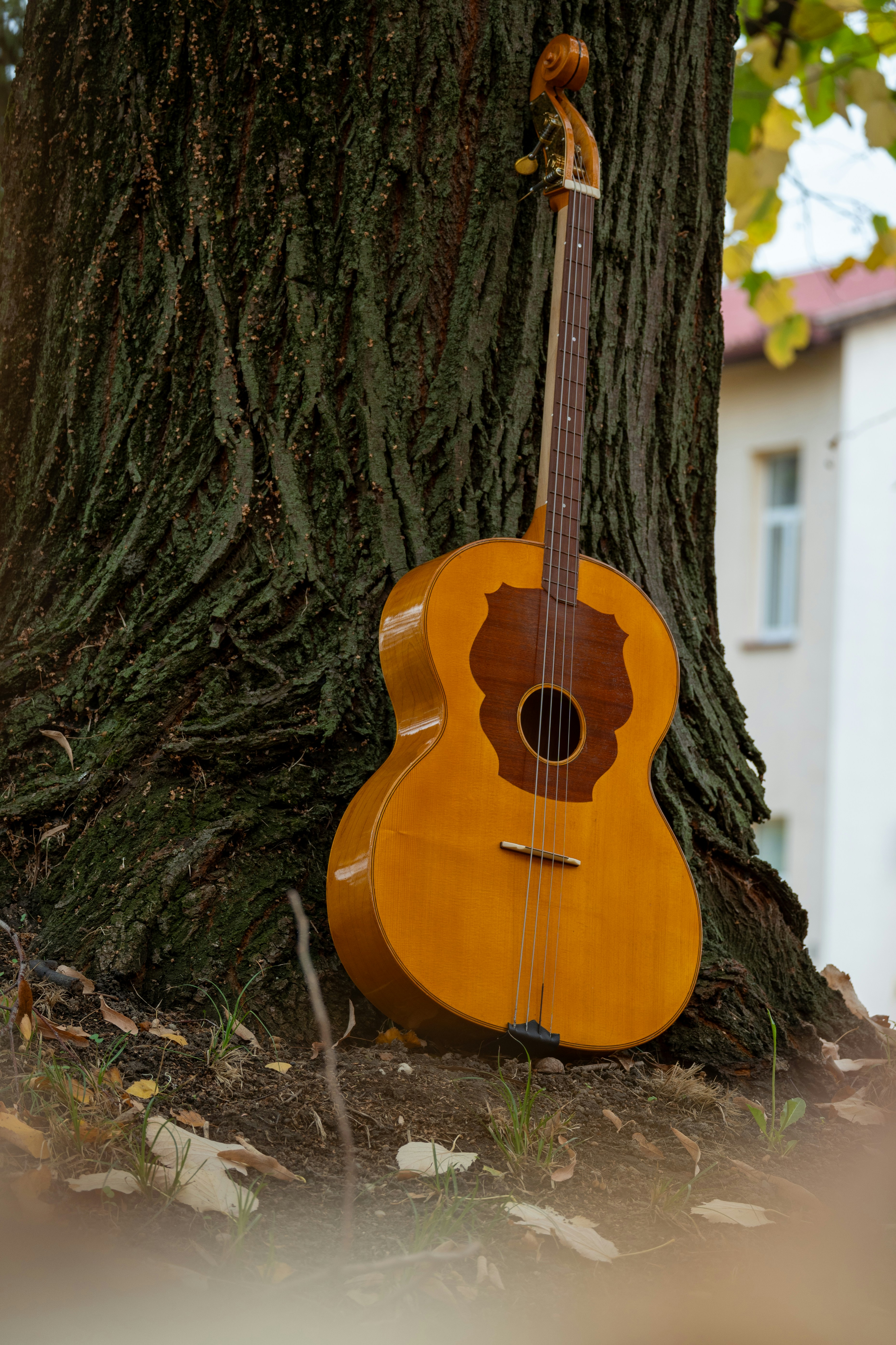 Photo by Robert Čavlović with Nikon Z30