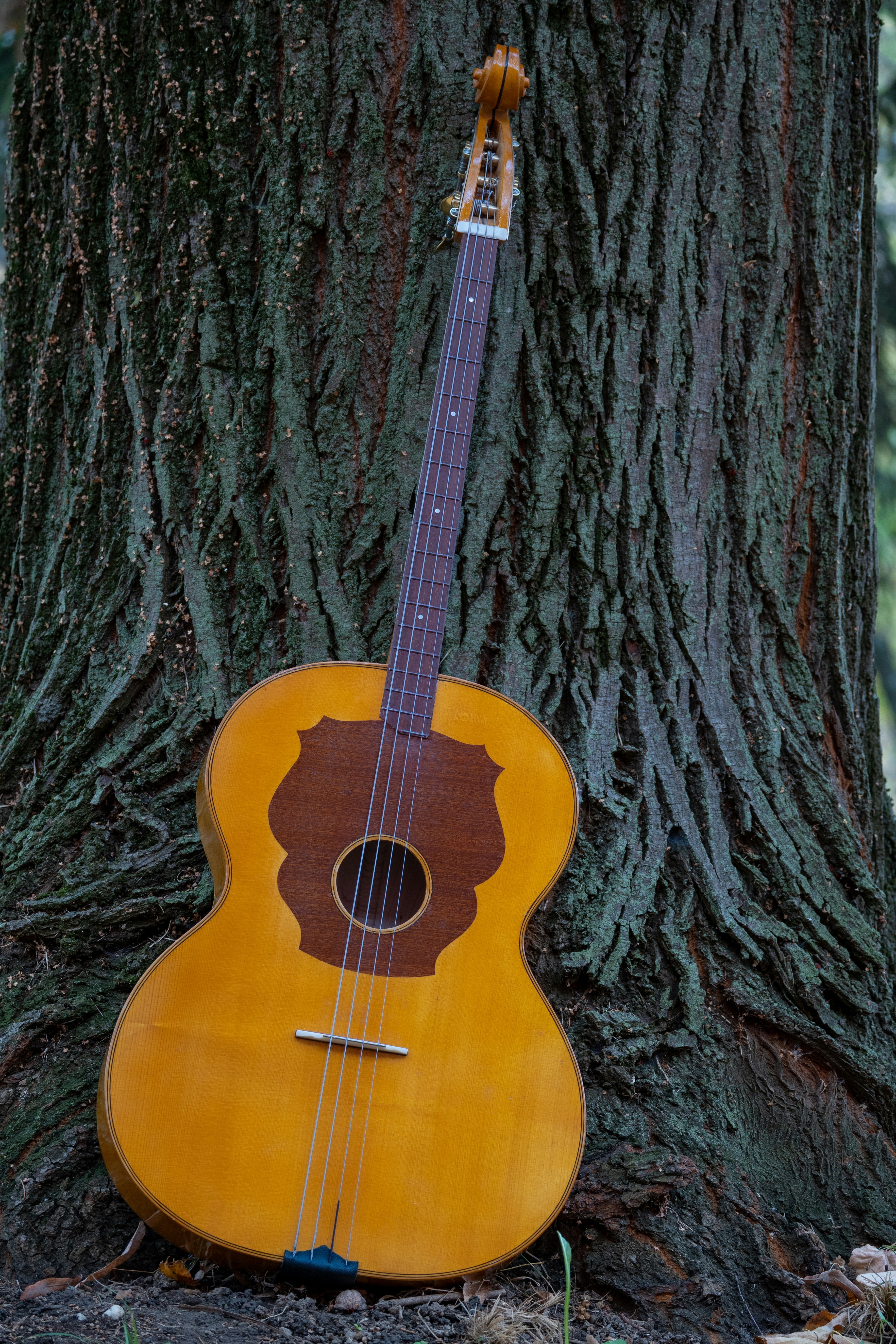 Photo by Robert Čavlović with Nikon Z30