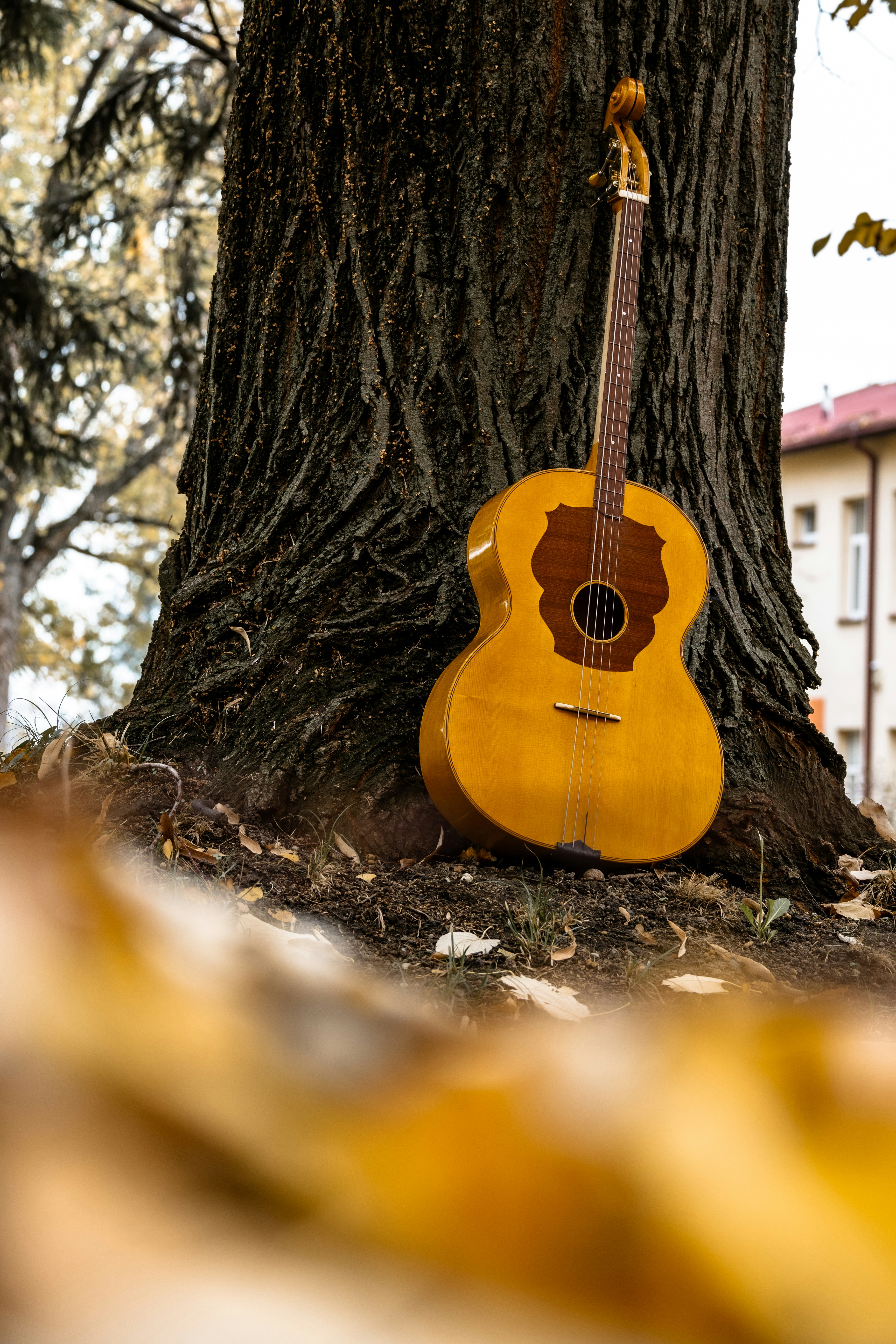 Photo by Robert Čavlović with Nikon Z30