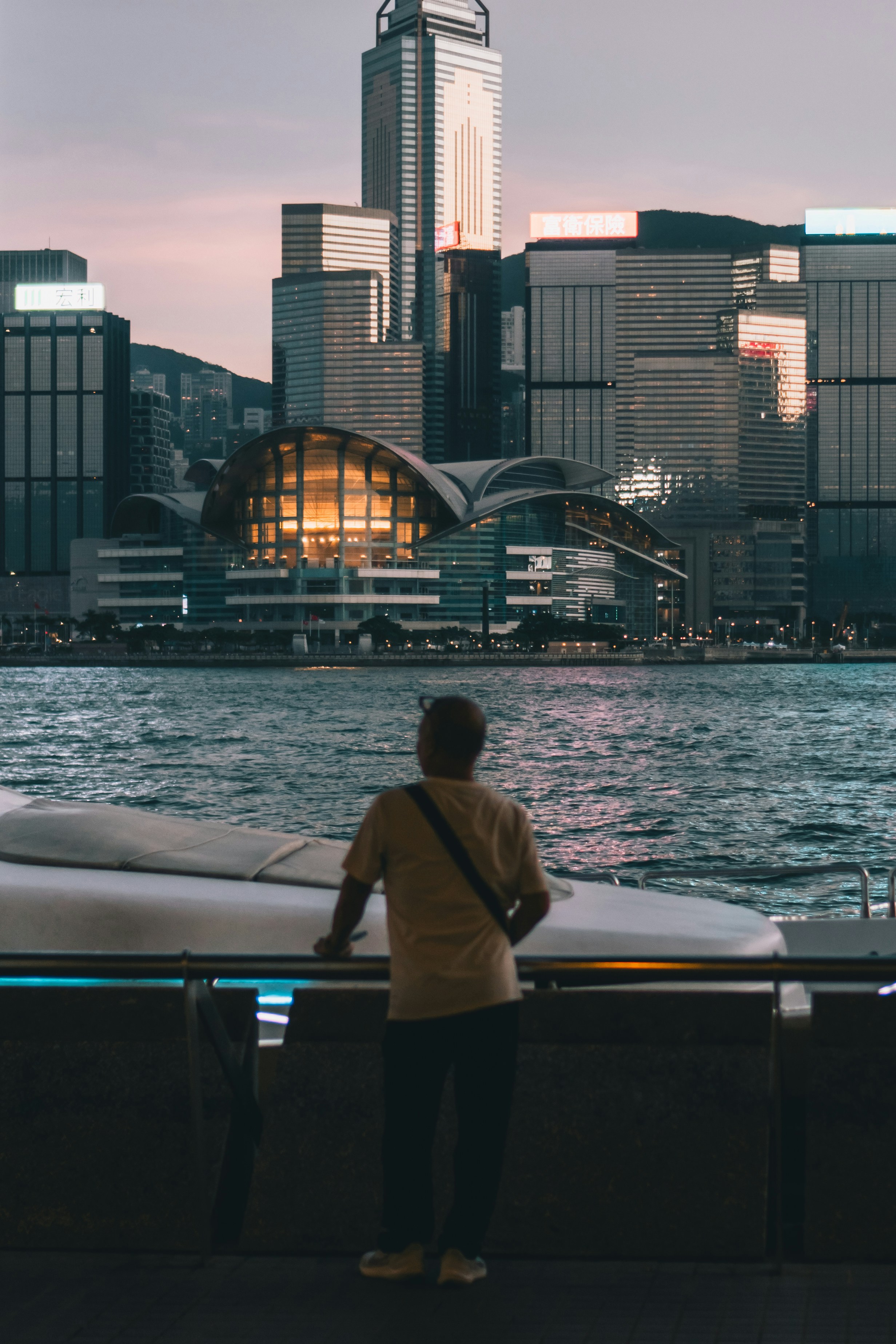 Harbor Silhouette: A Quiet Observer Faces a Neon-Dusted Skyline