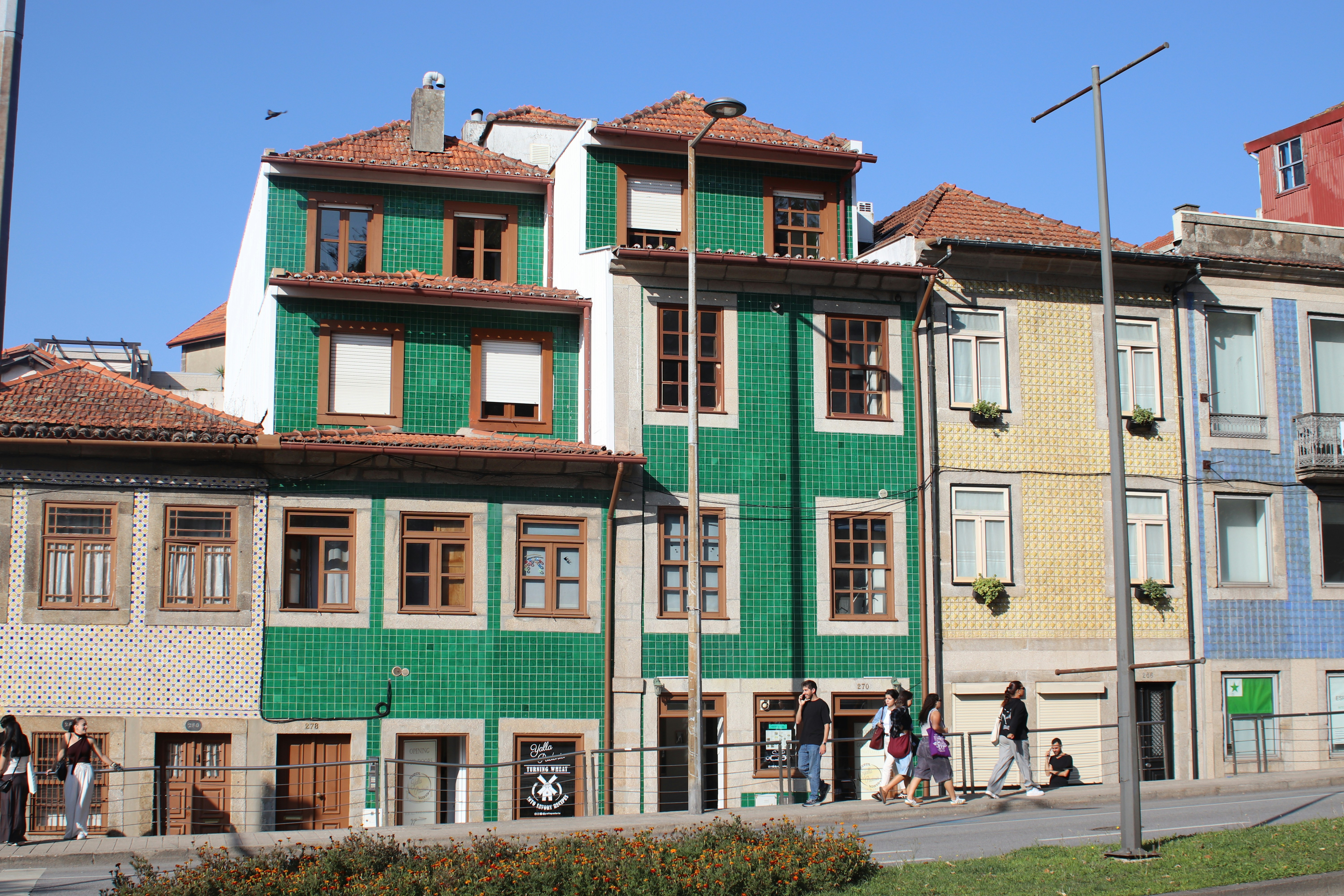 Photo by Jeet Sandhu with Canon EOS 200D