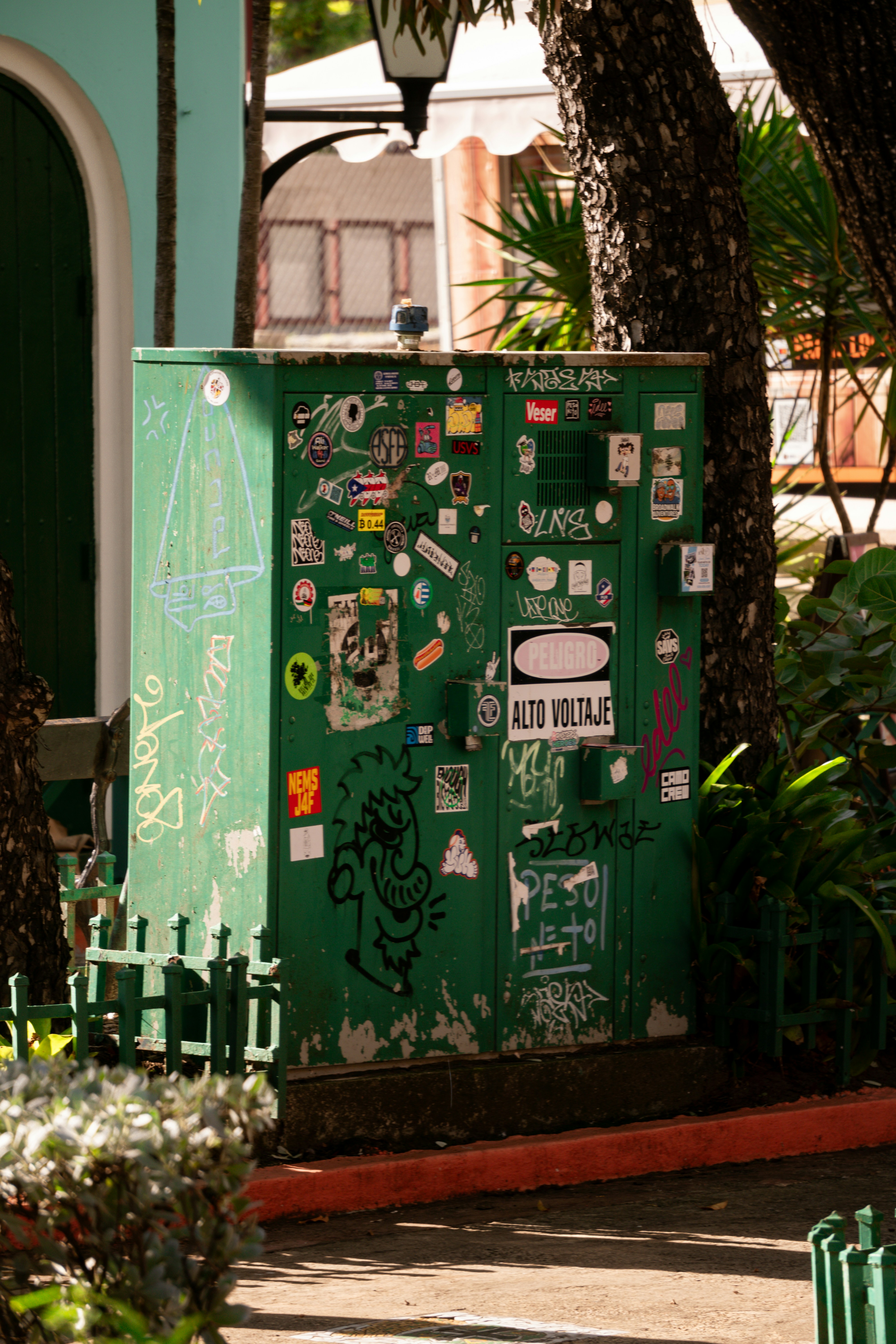 Photo by Angelica Teran with Sony Alpha 6500