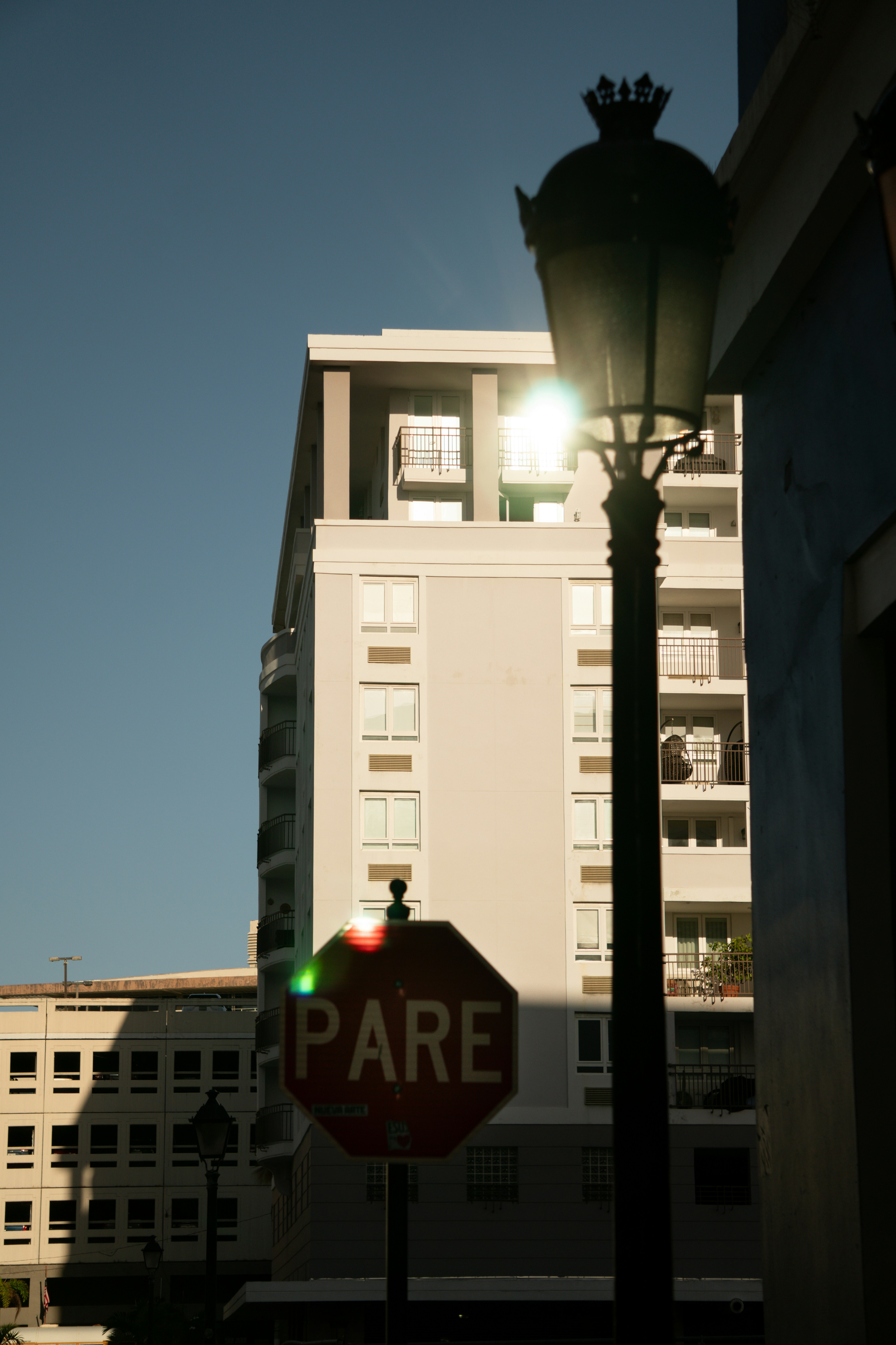 Photo by Angelica Teran with Sony Alpha 6500