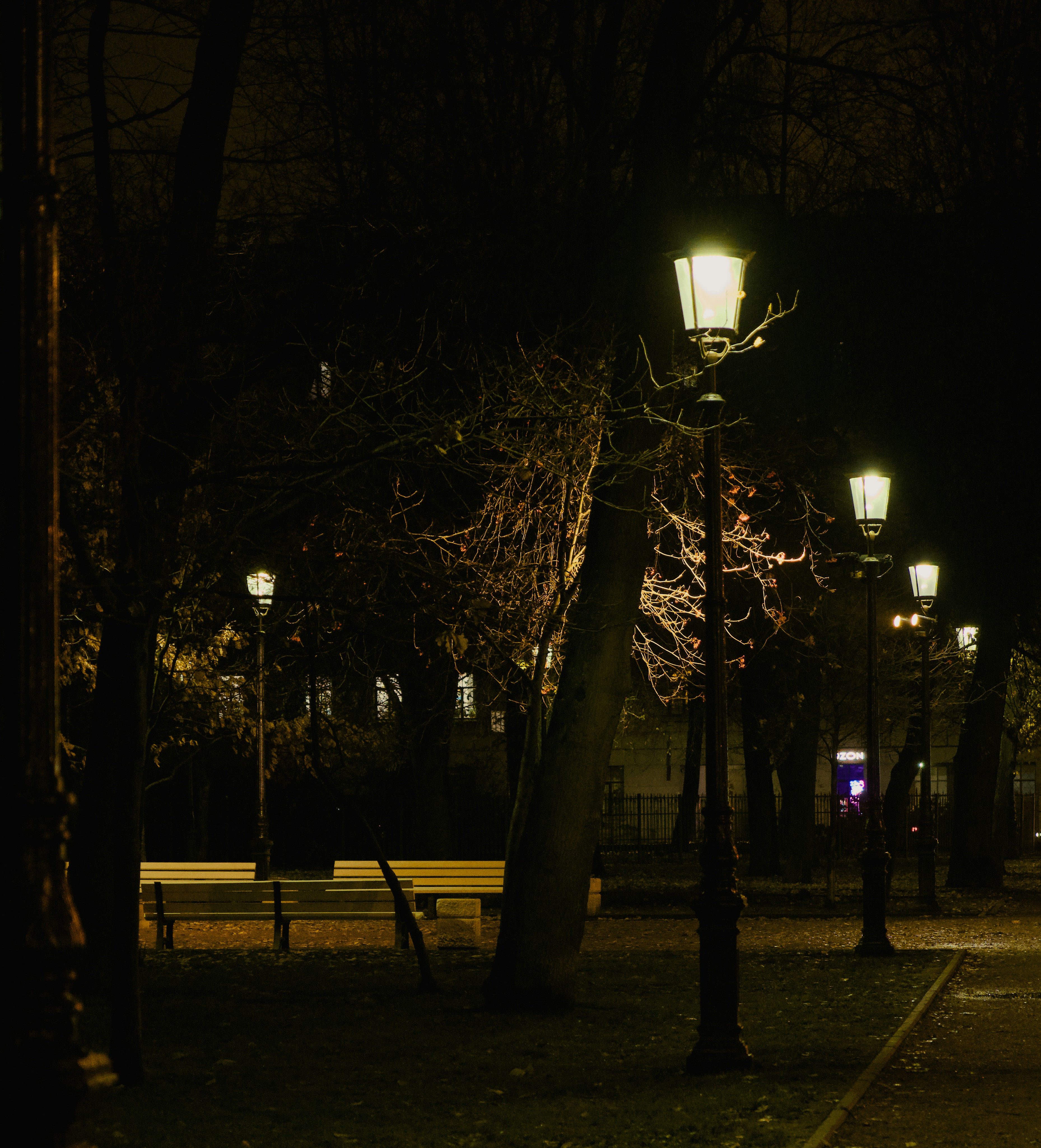 Lantern Line in the Quiet Park