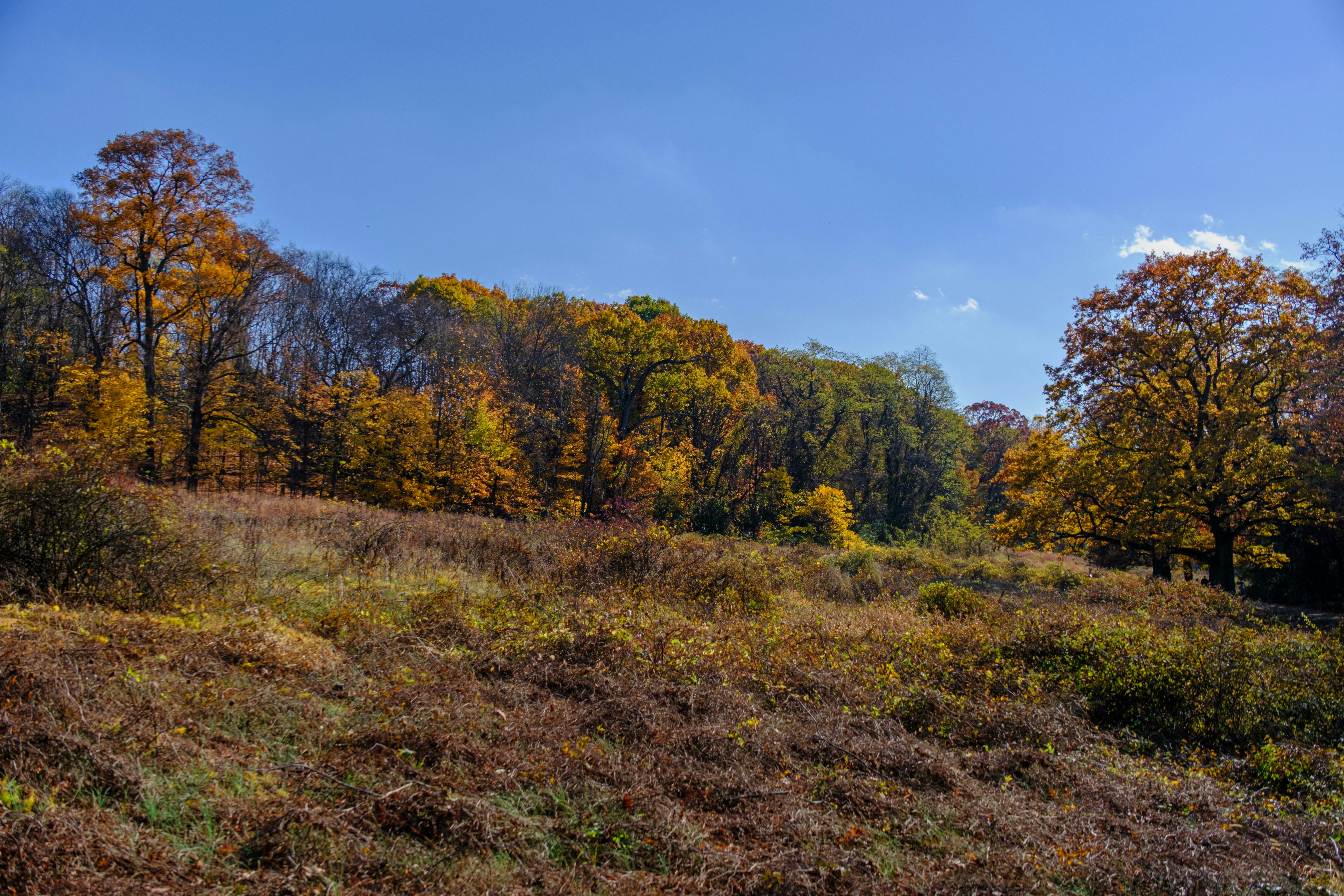 Photo by MICHAEL CHIARA with Fujifilm X-H2S