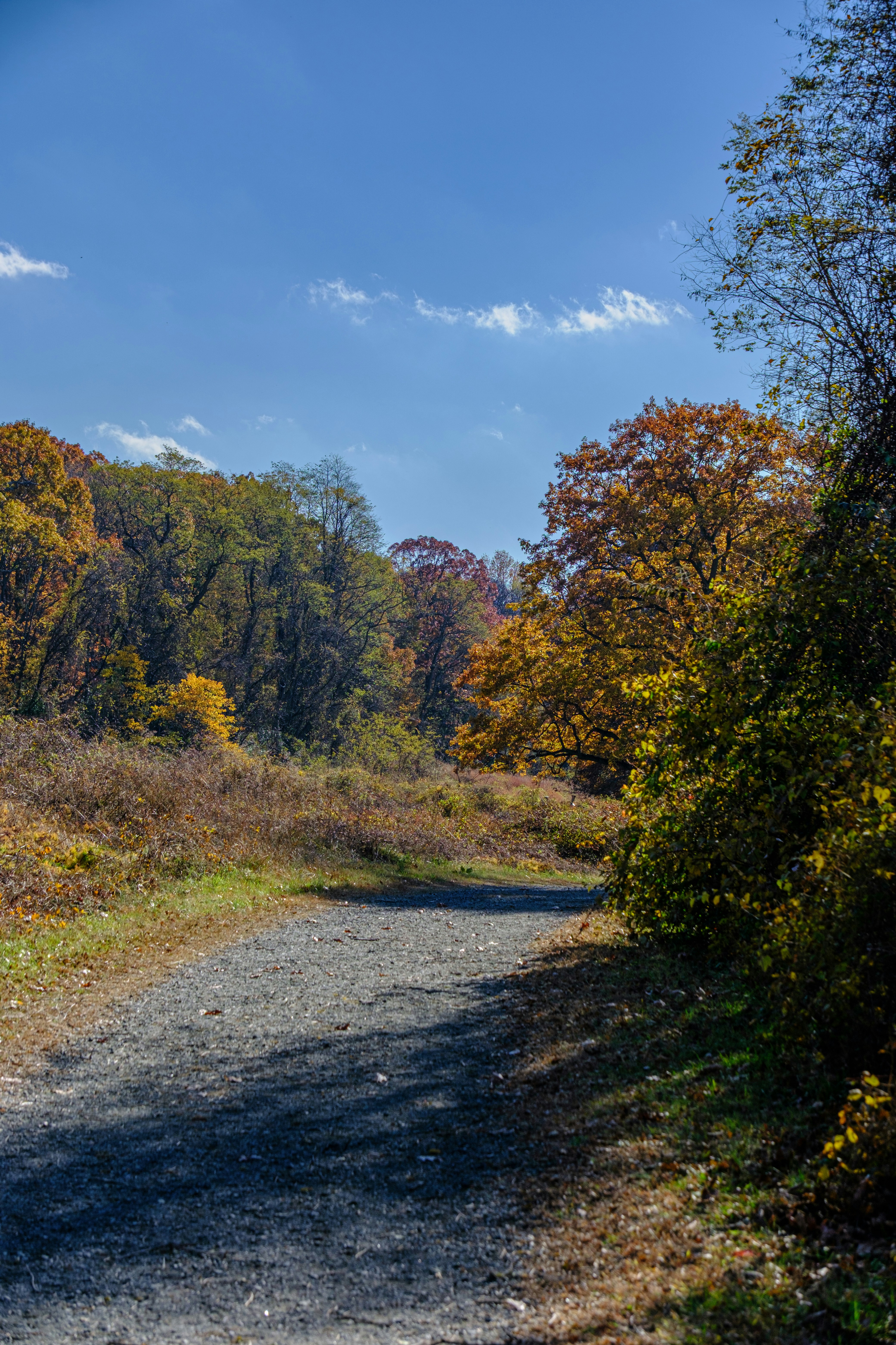 Photo by MICHAEL CHIARA with Fujifilm X-H2S