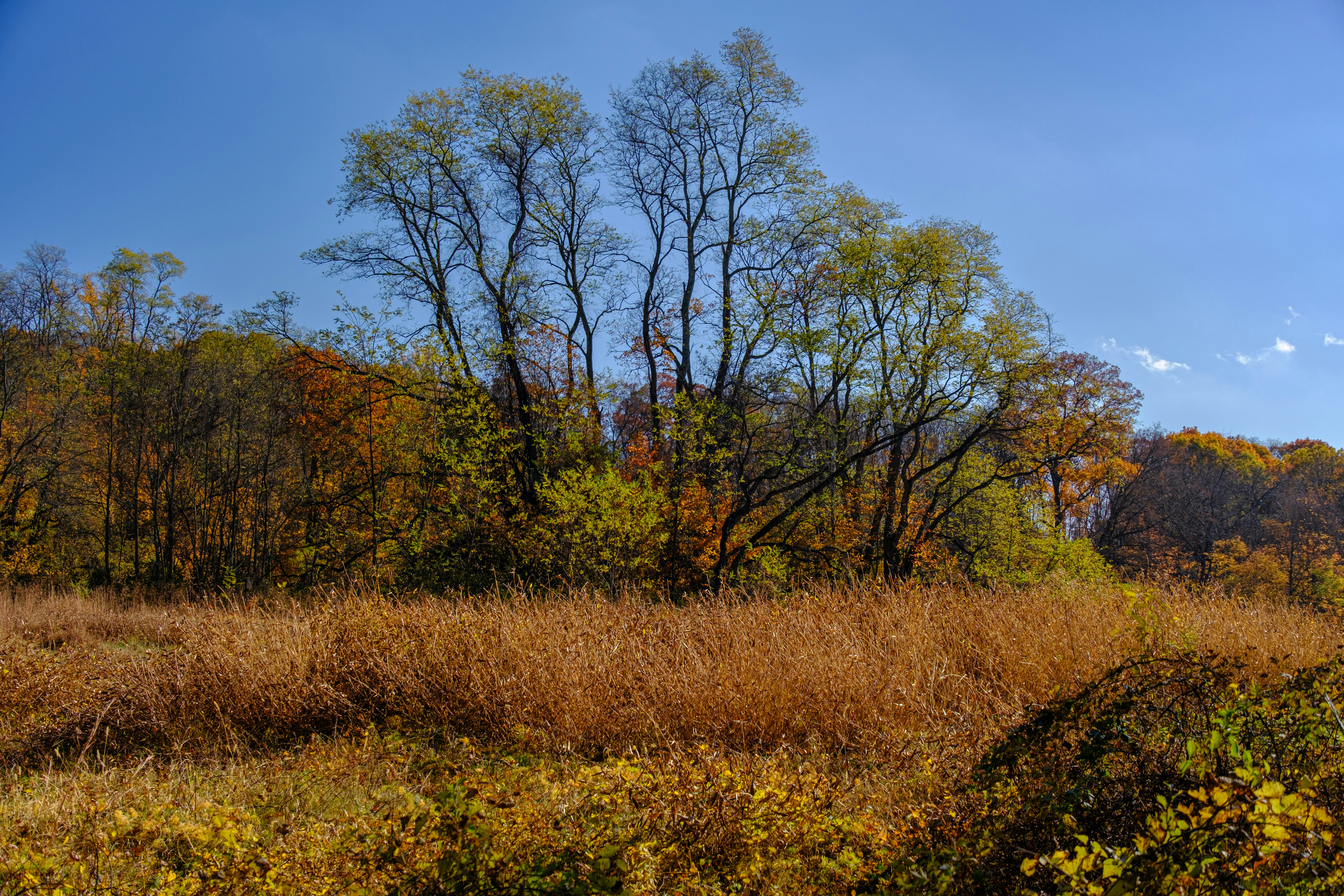 Photo by MICHAEL CHIARA with Fujifilm X-H2S