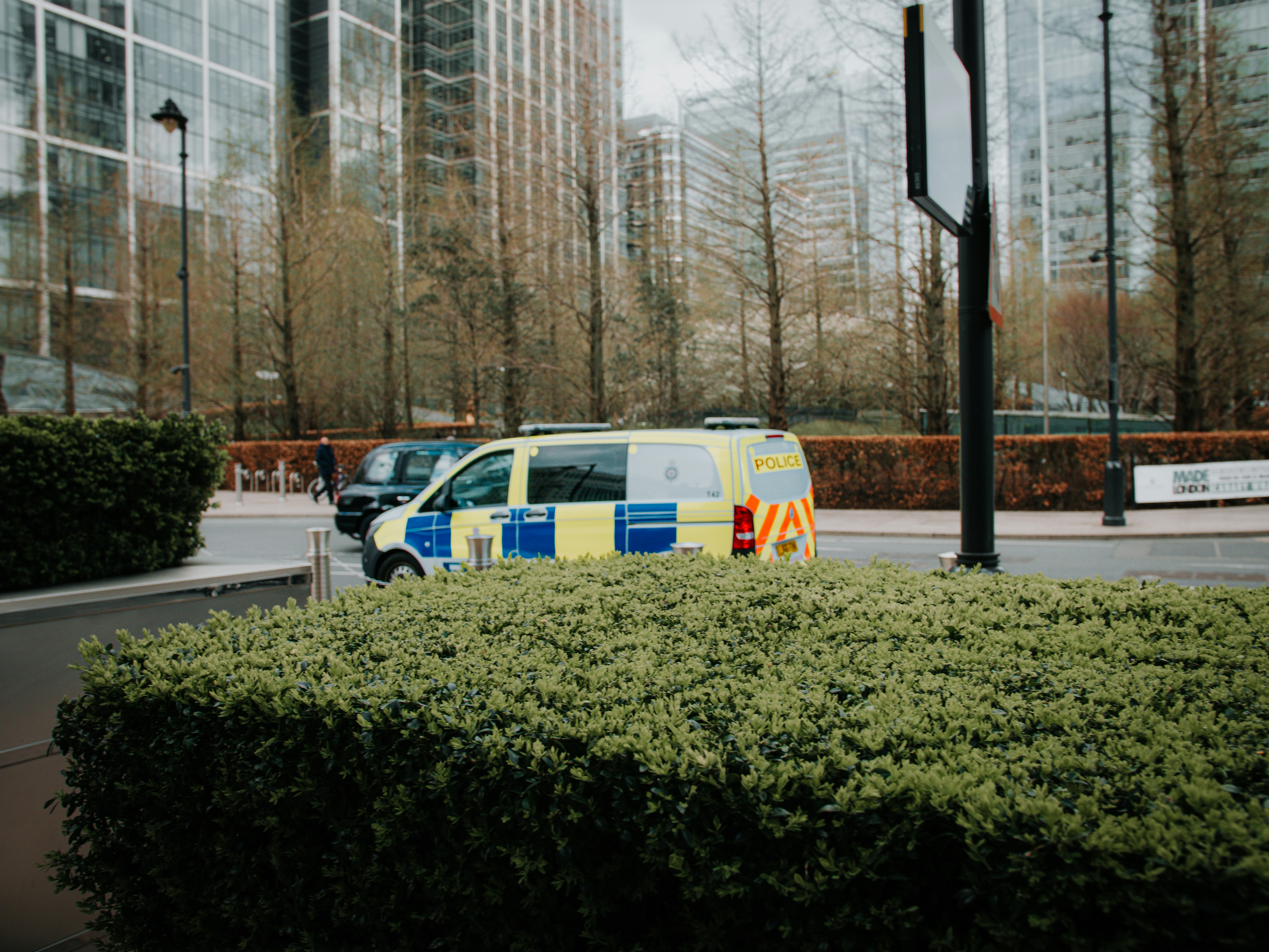 Blue-Yellow Patrol Amid Glass Canopies