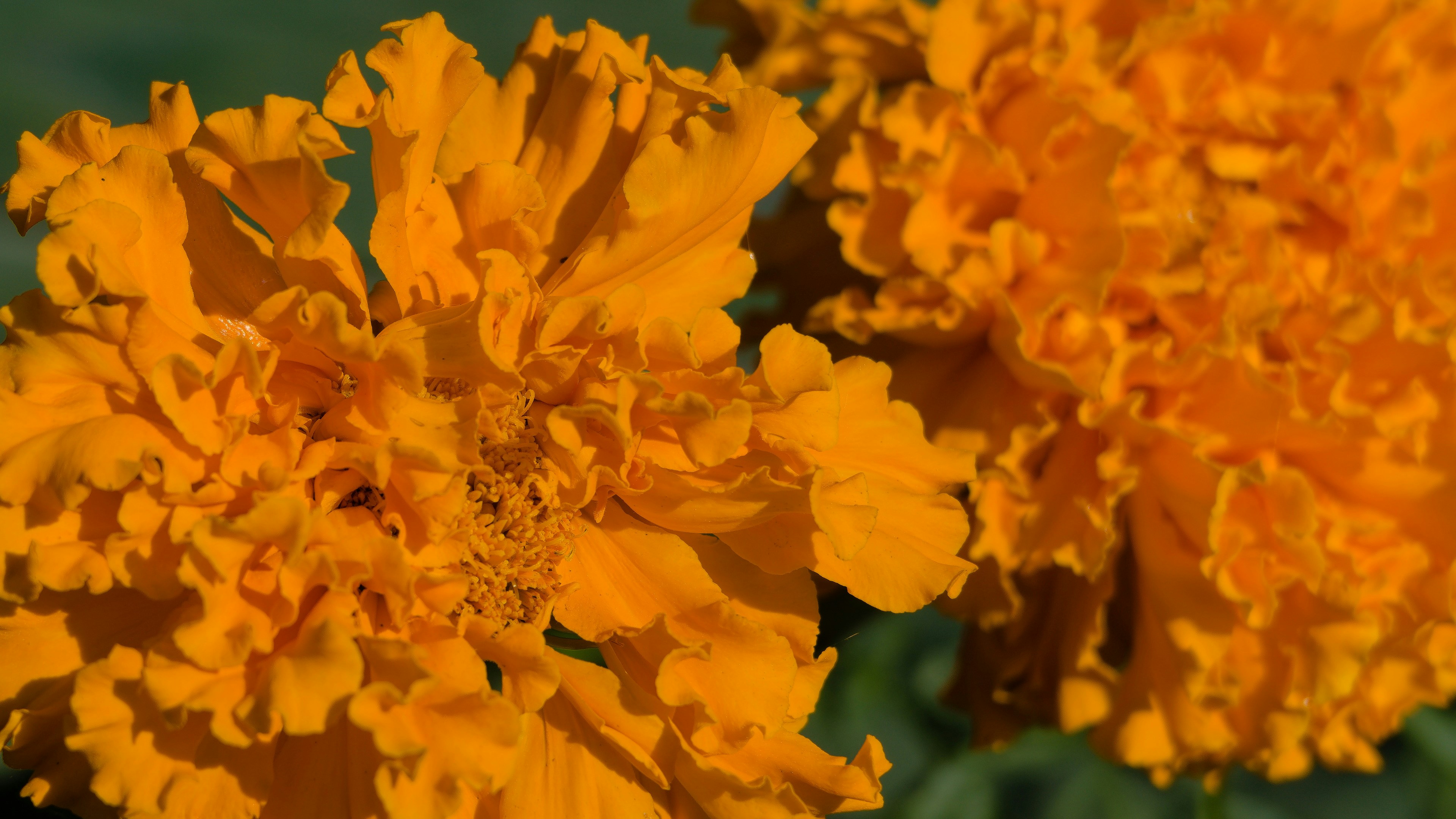 Photo by Alexey with Sony Alpha 7C II