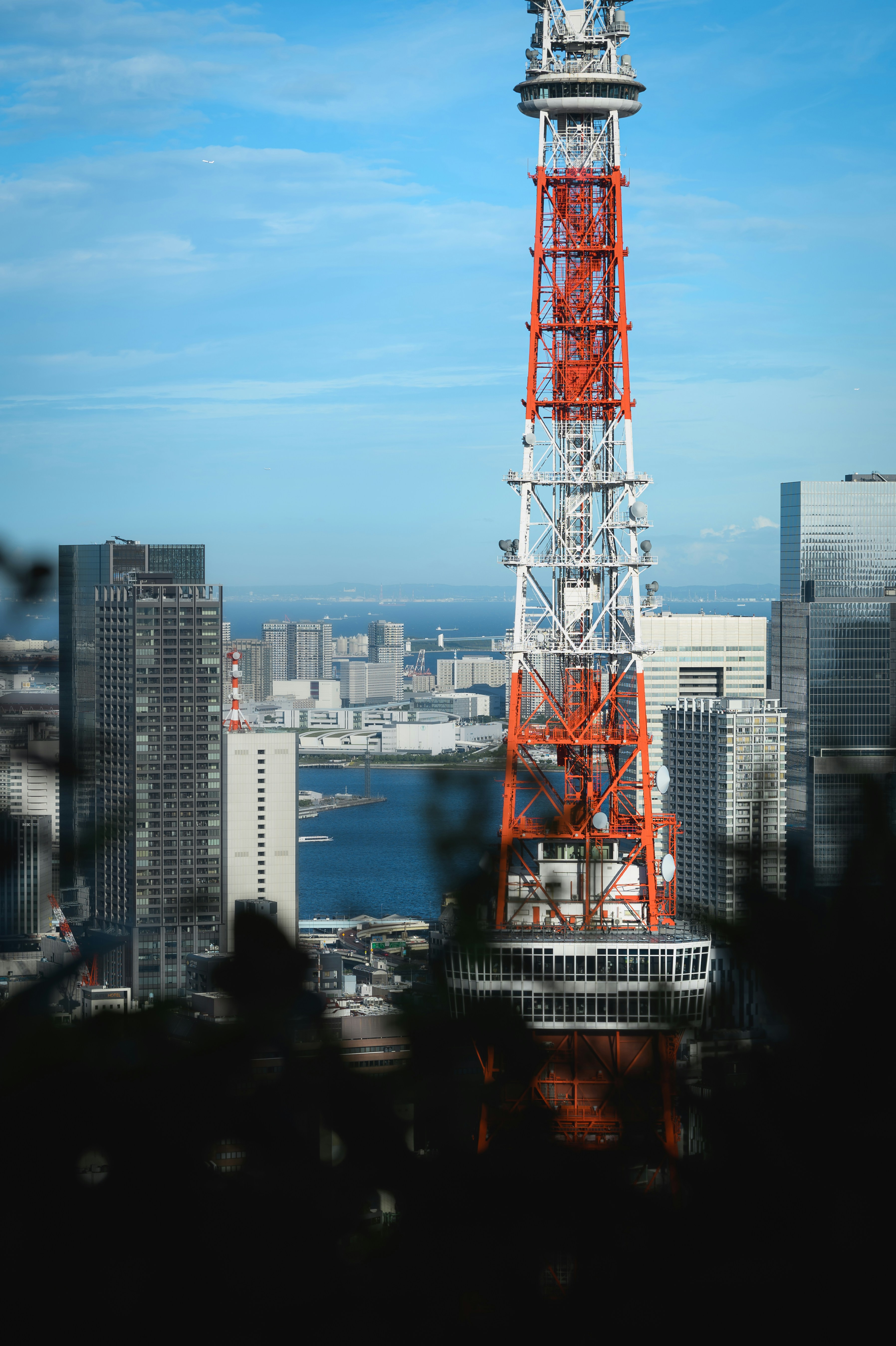 Photo by Tim Ren with Nikon Z8