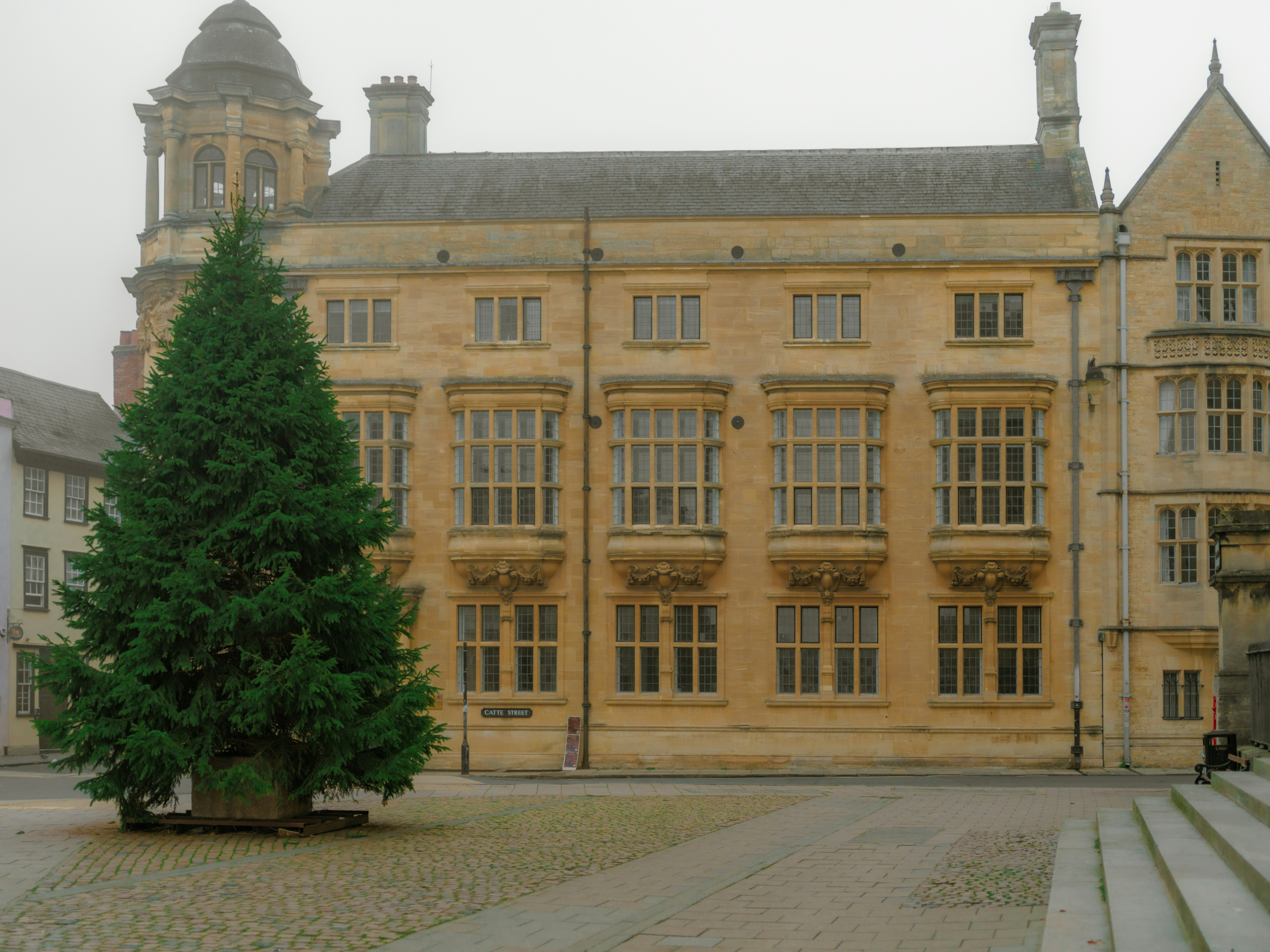 Mist and Stone: A Campus Façade Framed by a Lone Evergreen