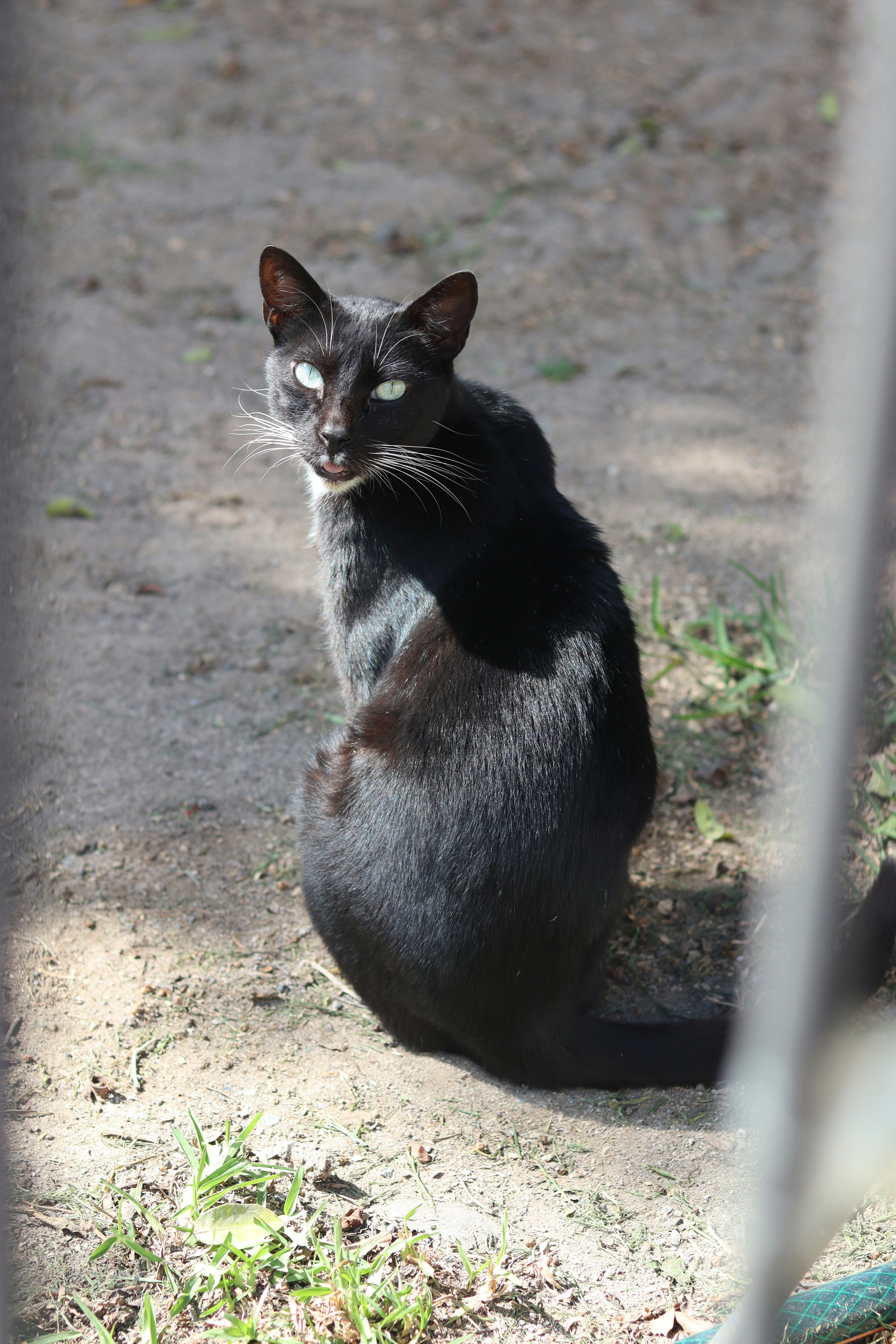 Photo by Rodrigo Araya with Canon EOS 850D