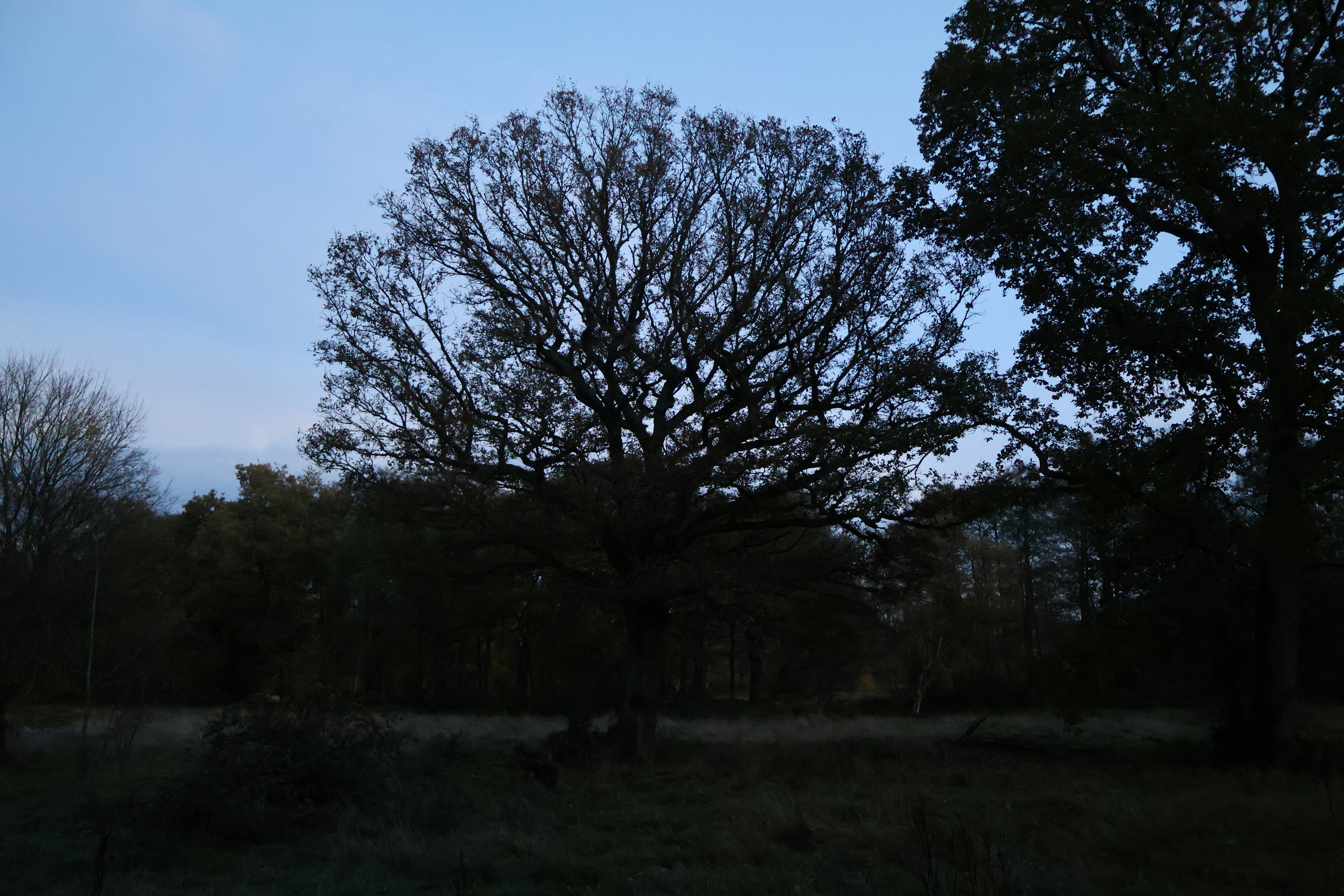 Photo by Tanya Barrow with Canon EOS R50