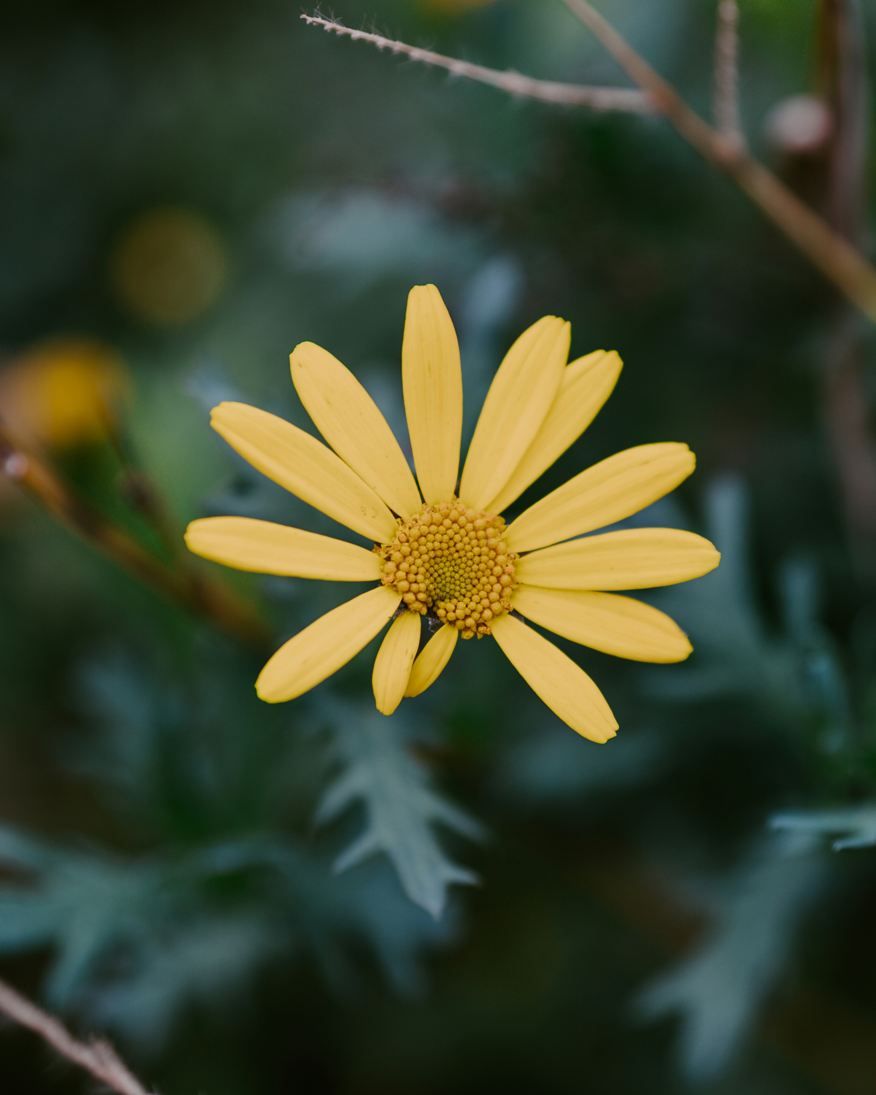 Photo by Mohamed B. with Sony Alpha 7C