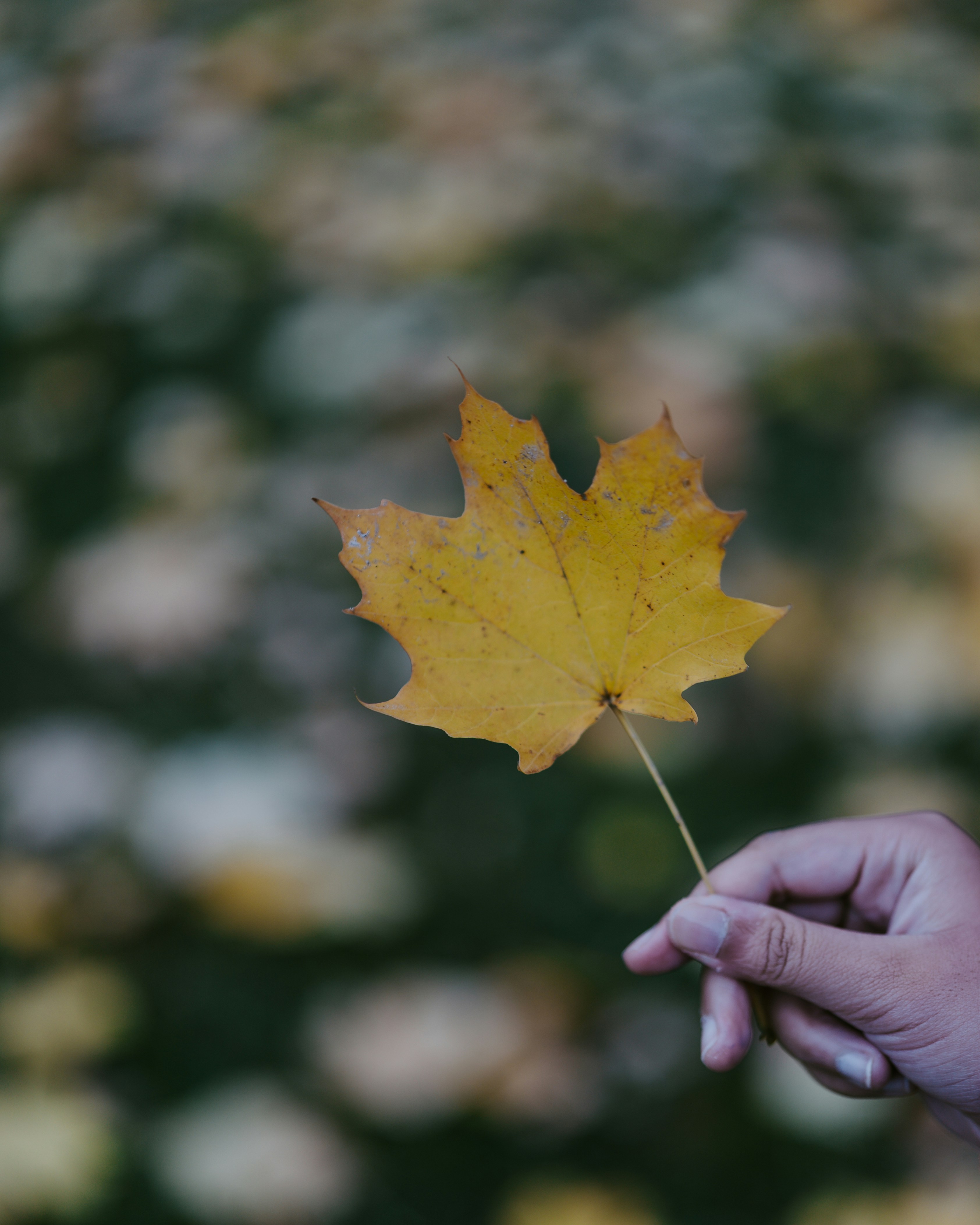 Photo by Mohamed B. with Sony Alpha 7C