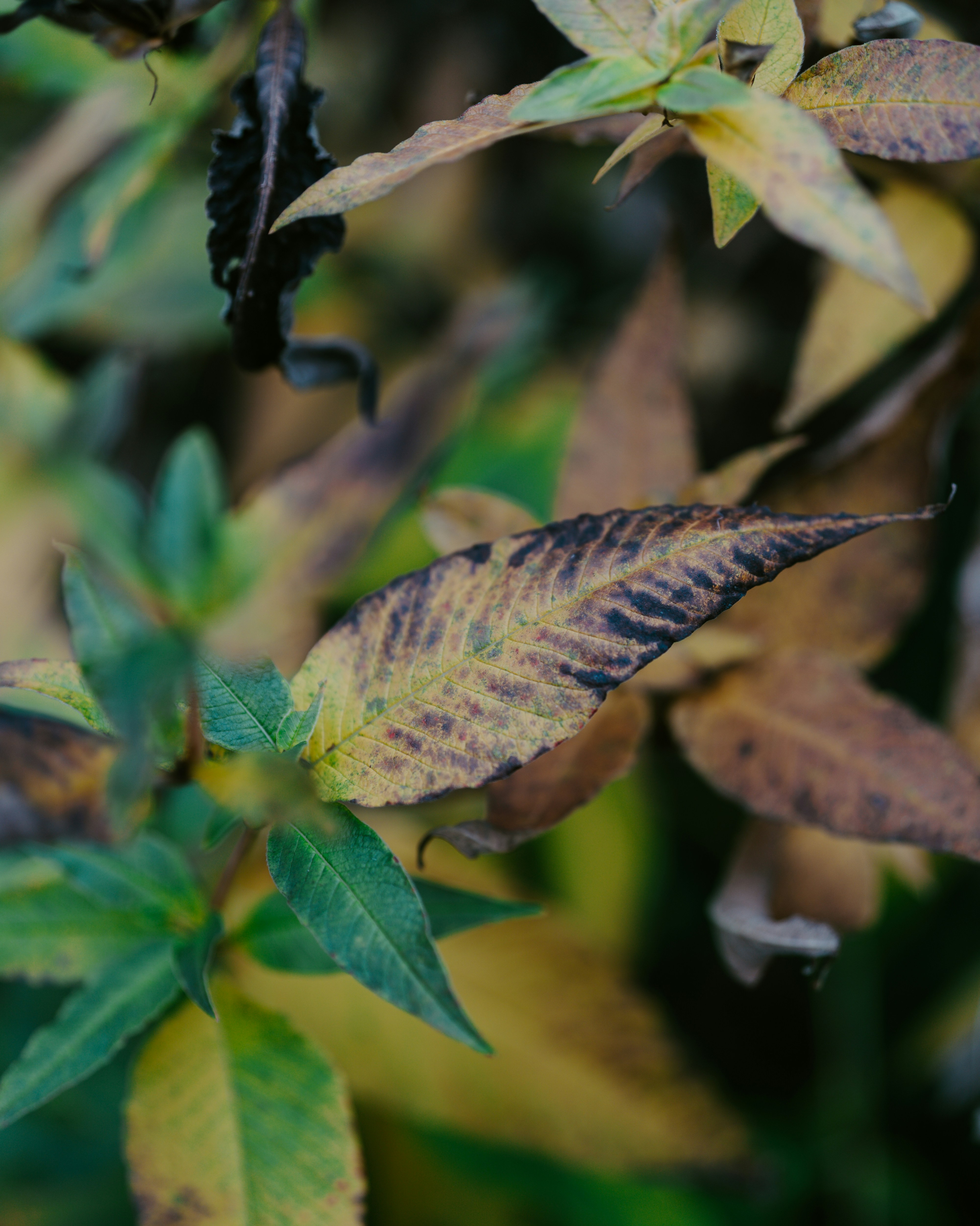 Photo by Mohamed B. with Sony Alpha 7C