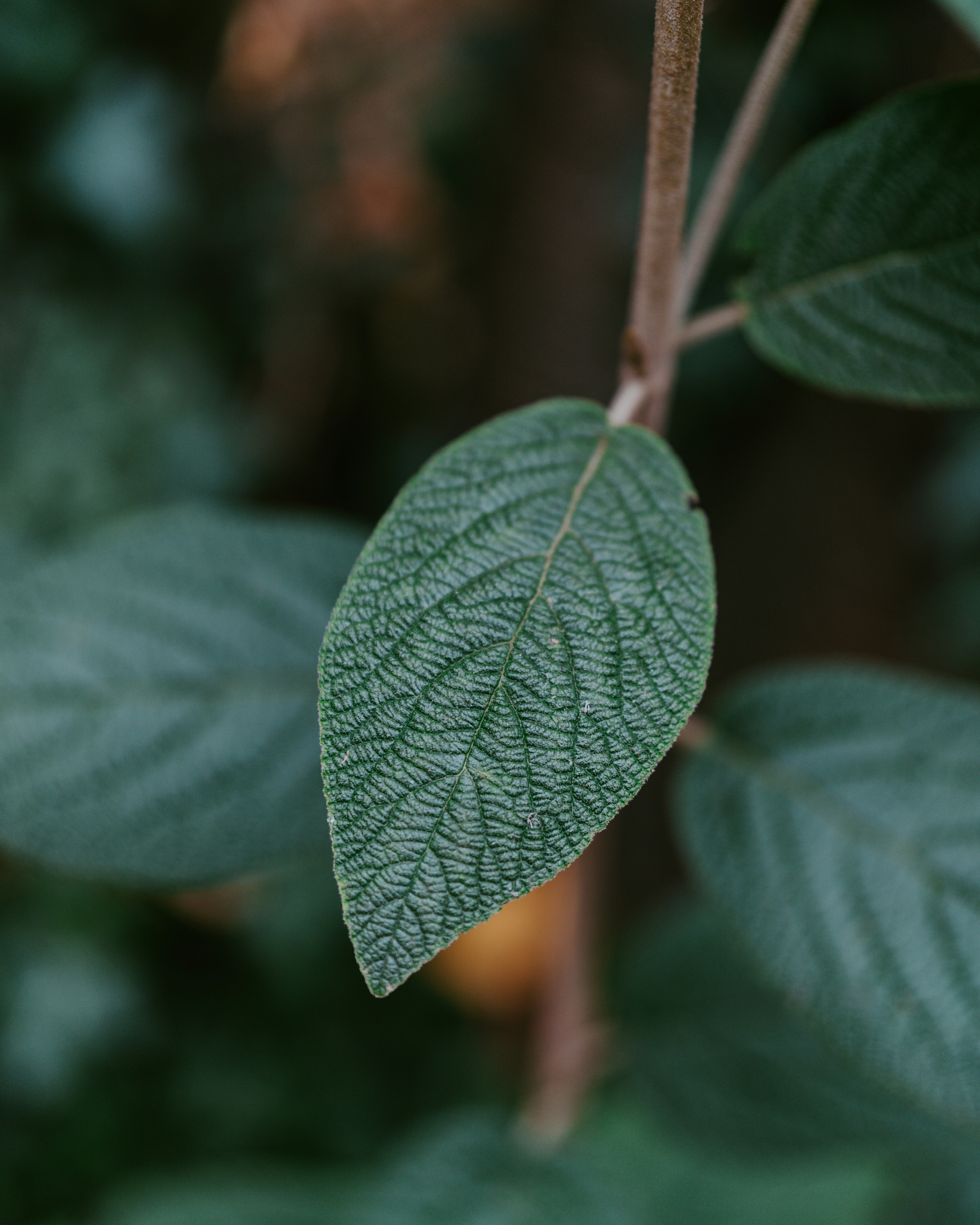 Photo by Mohamed B. with Sony Alpha 7C