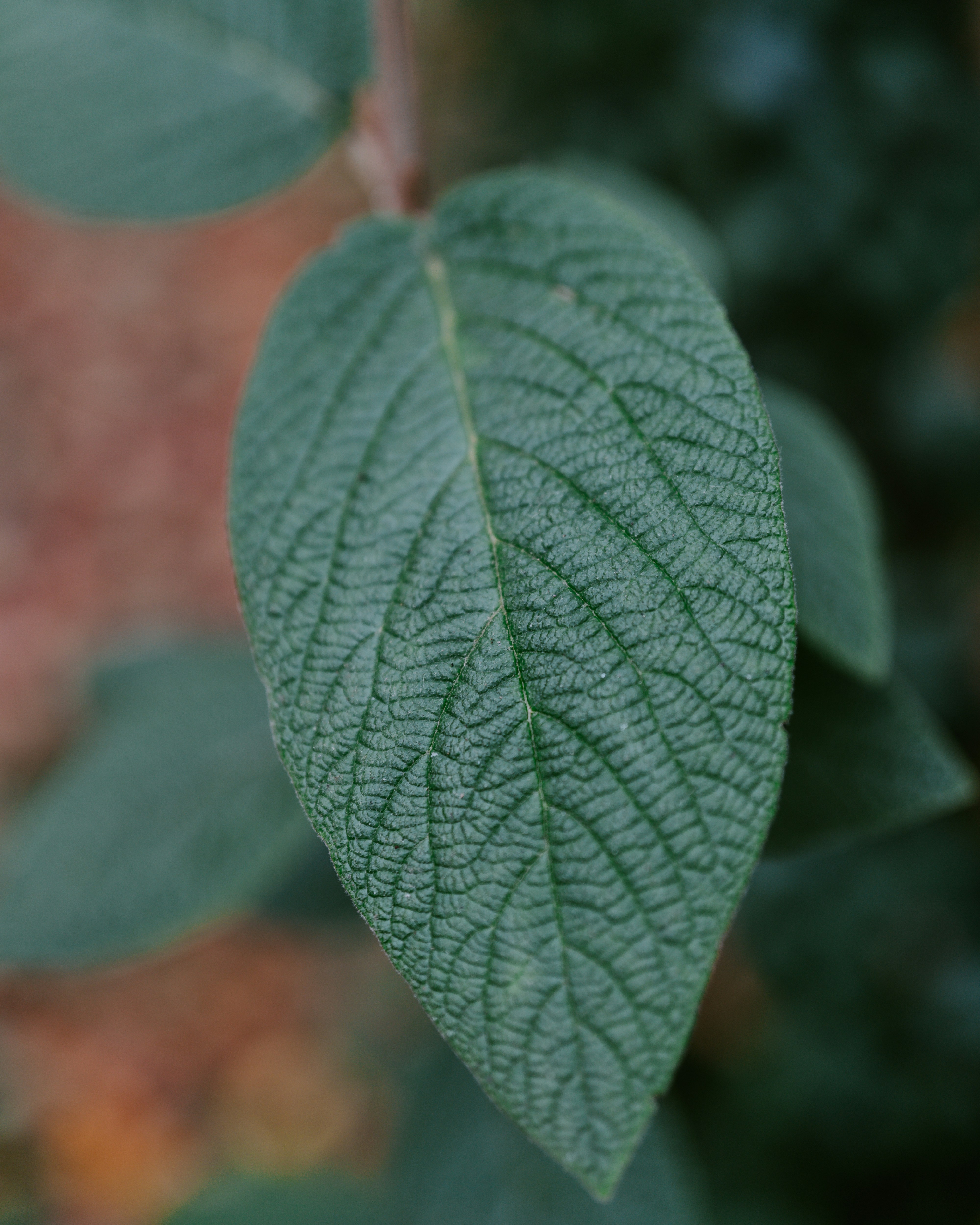 Photo by Mohamed B. with Sony Alpha 7C