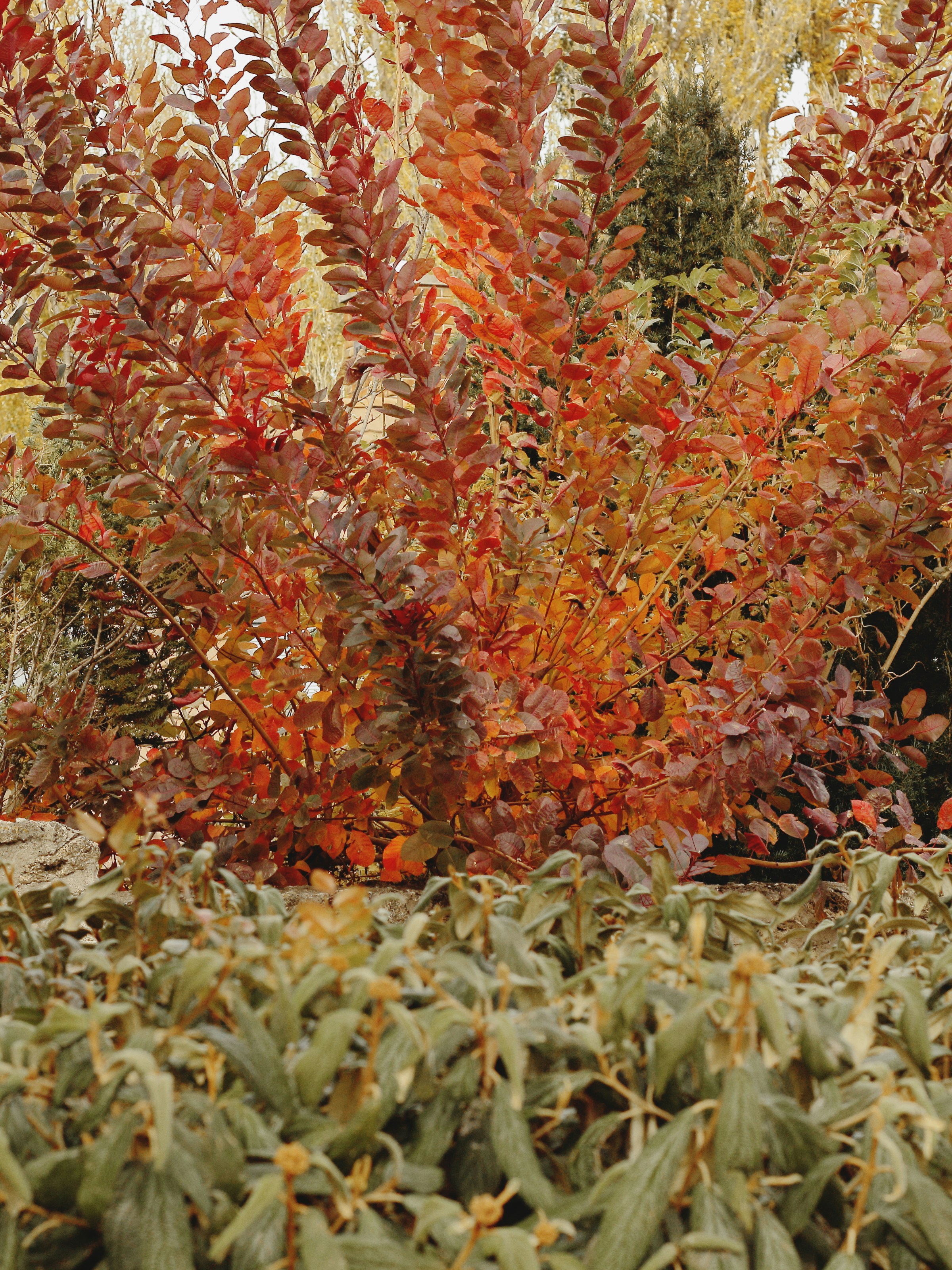 Photo by László Hidasi with Canon EOS 700D