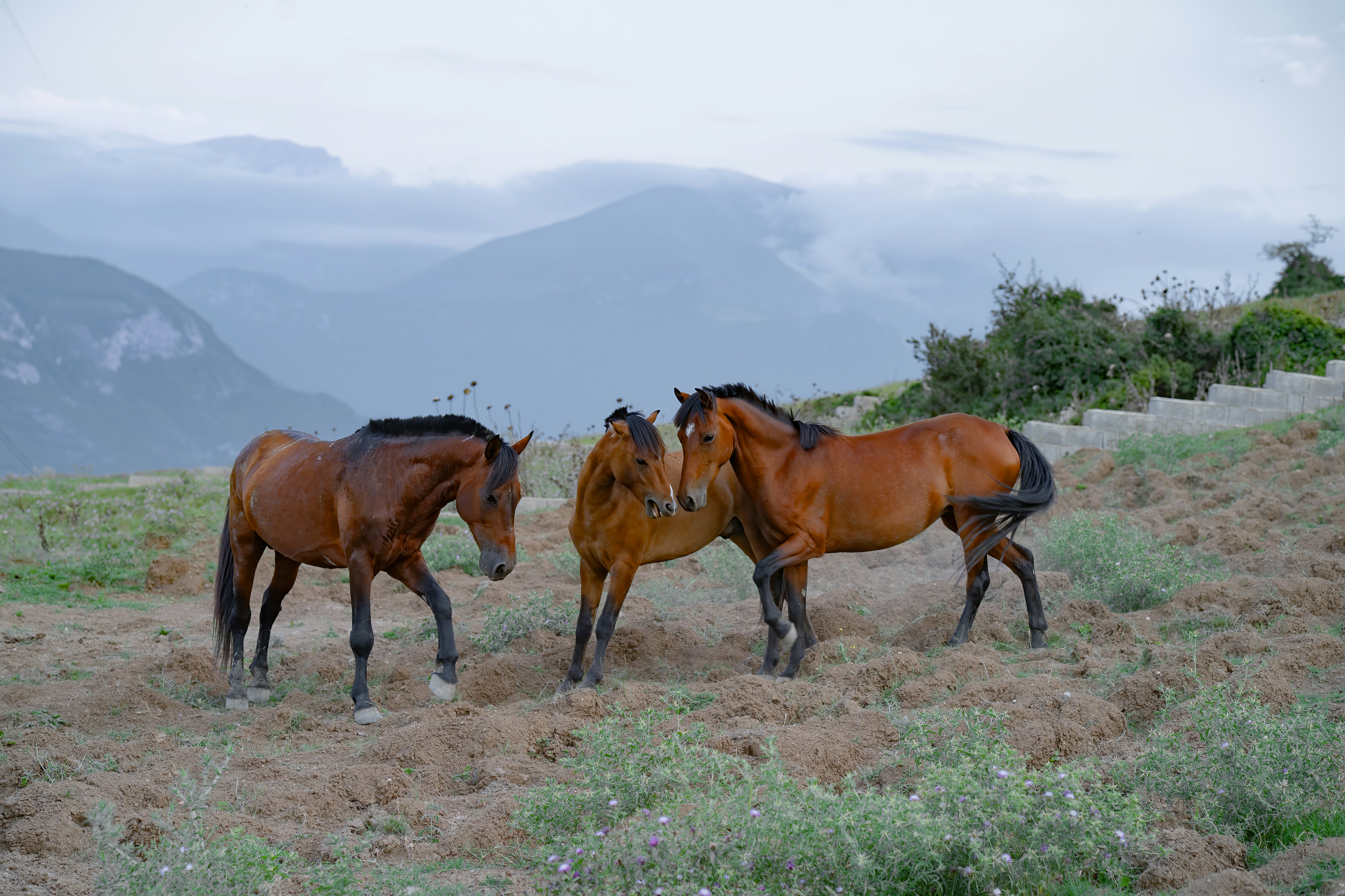 Photo by Akbar Nemati with Sony Alpha 7 III