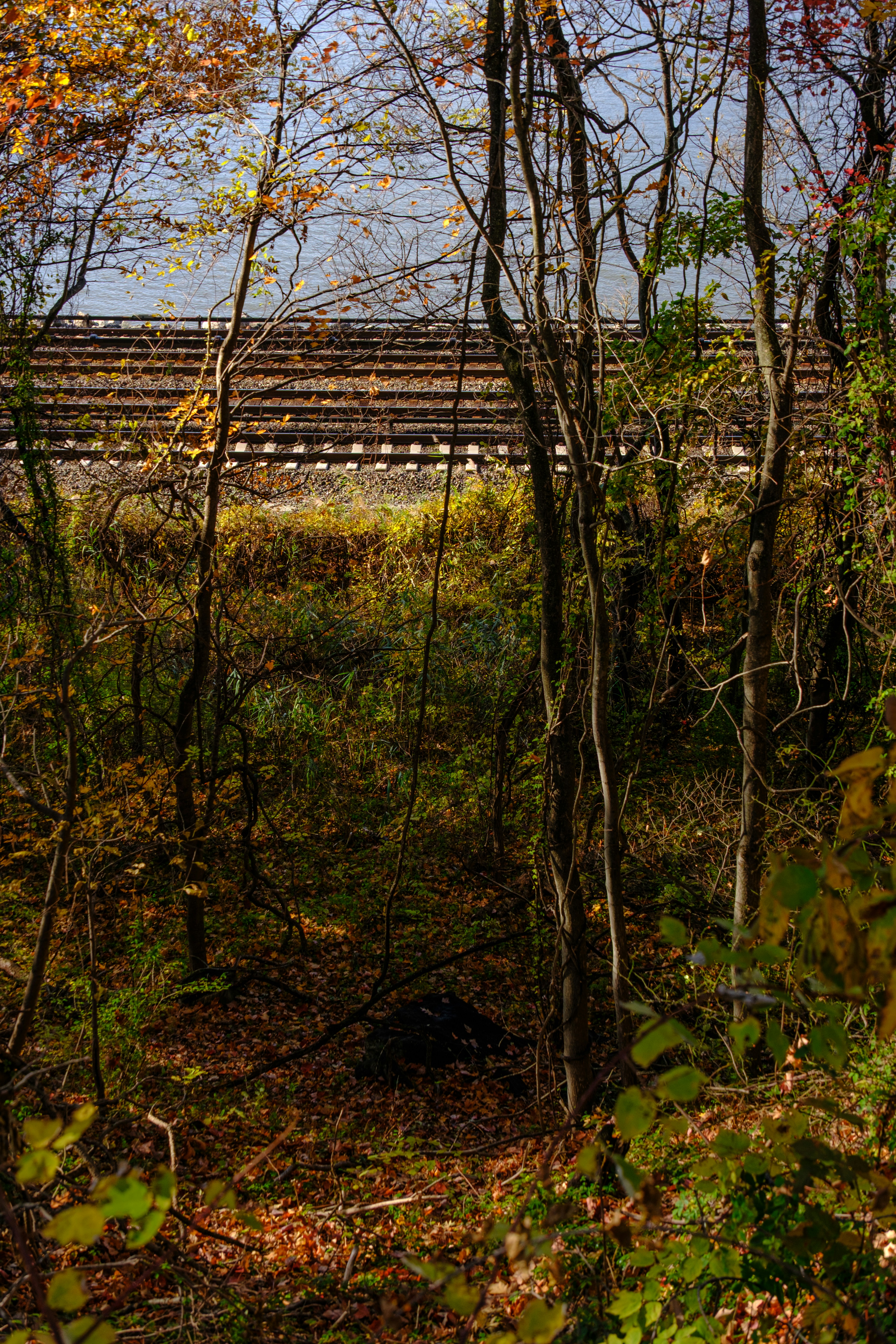 Photo by MICHAEL CHIARA with Fujifilm X-H2S