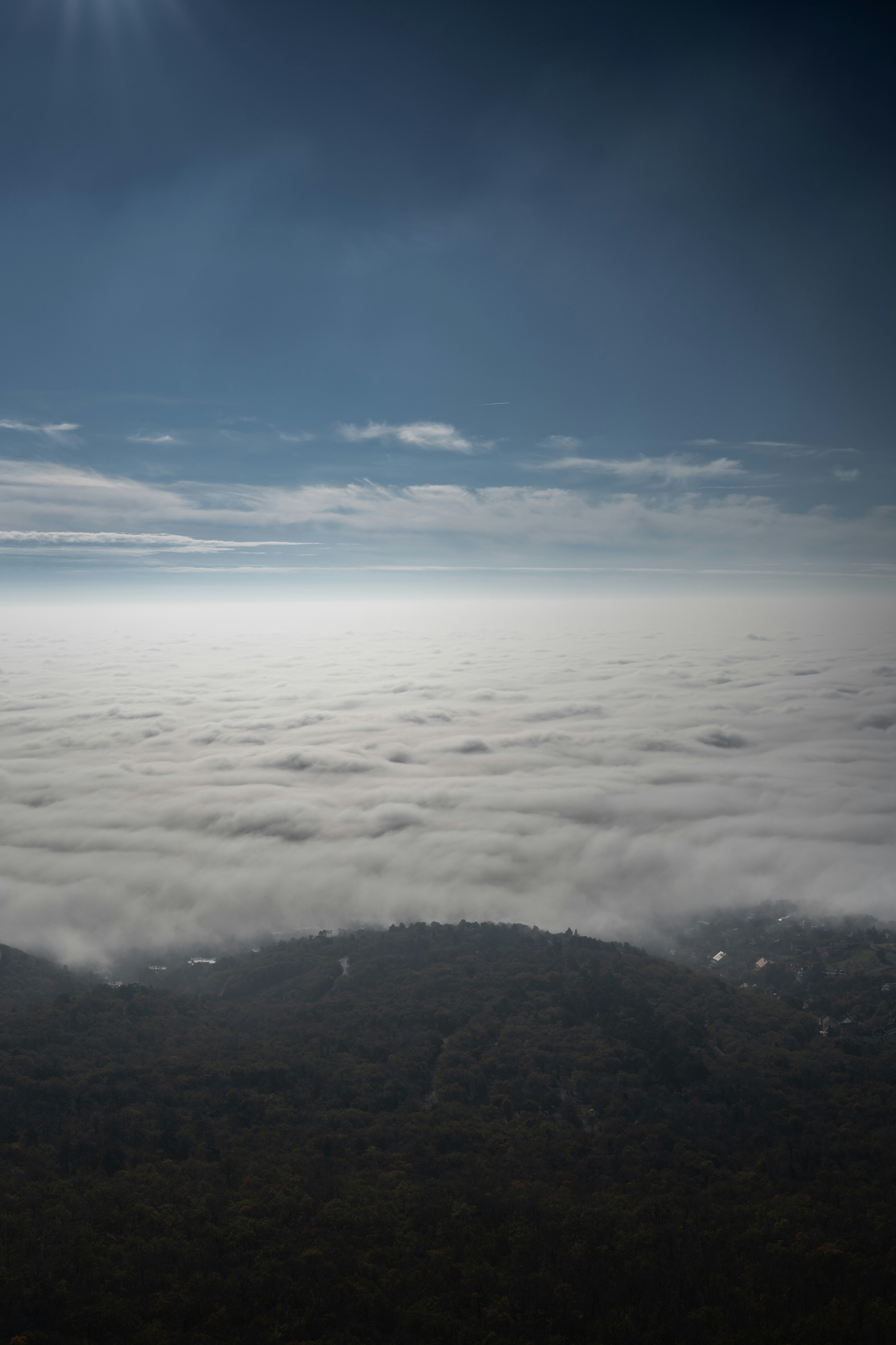 Photo by Milan Czar with Sony Alpha 7R V