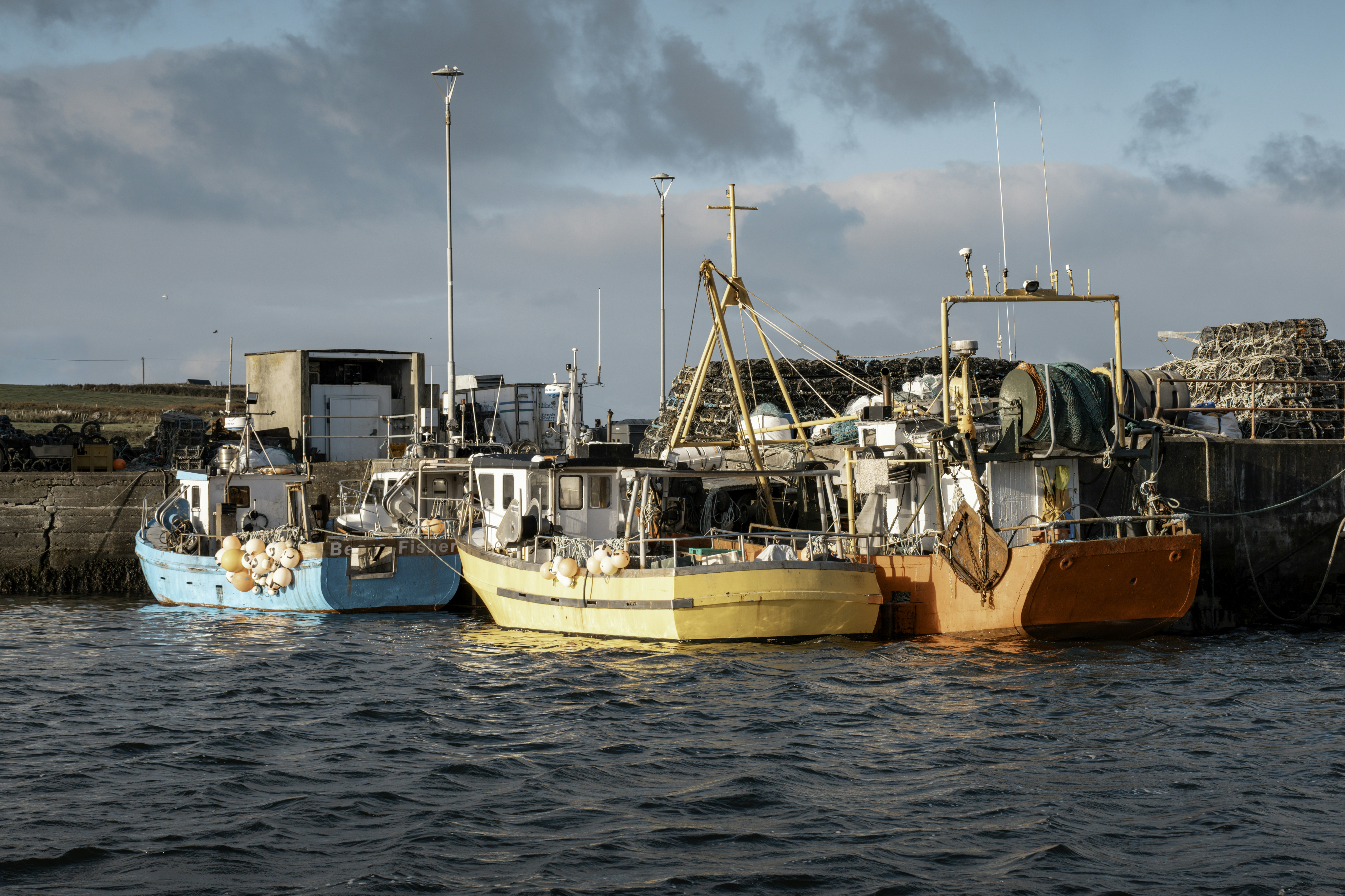 Photo by Raul Kozenevski with Sony Alpha 7R IV