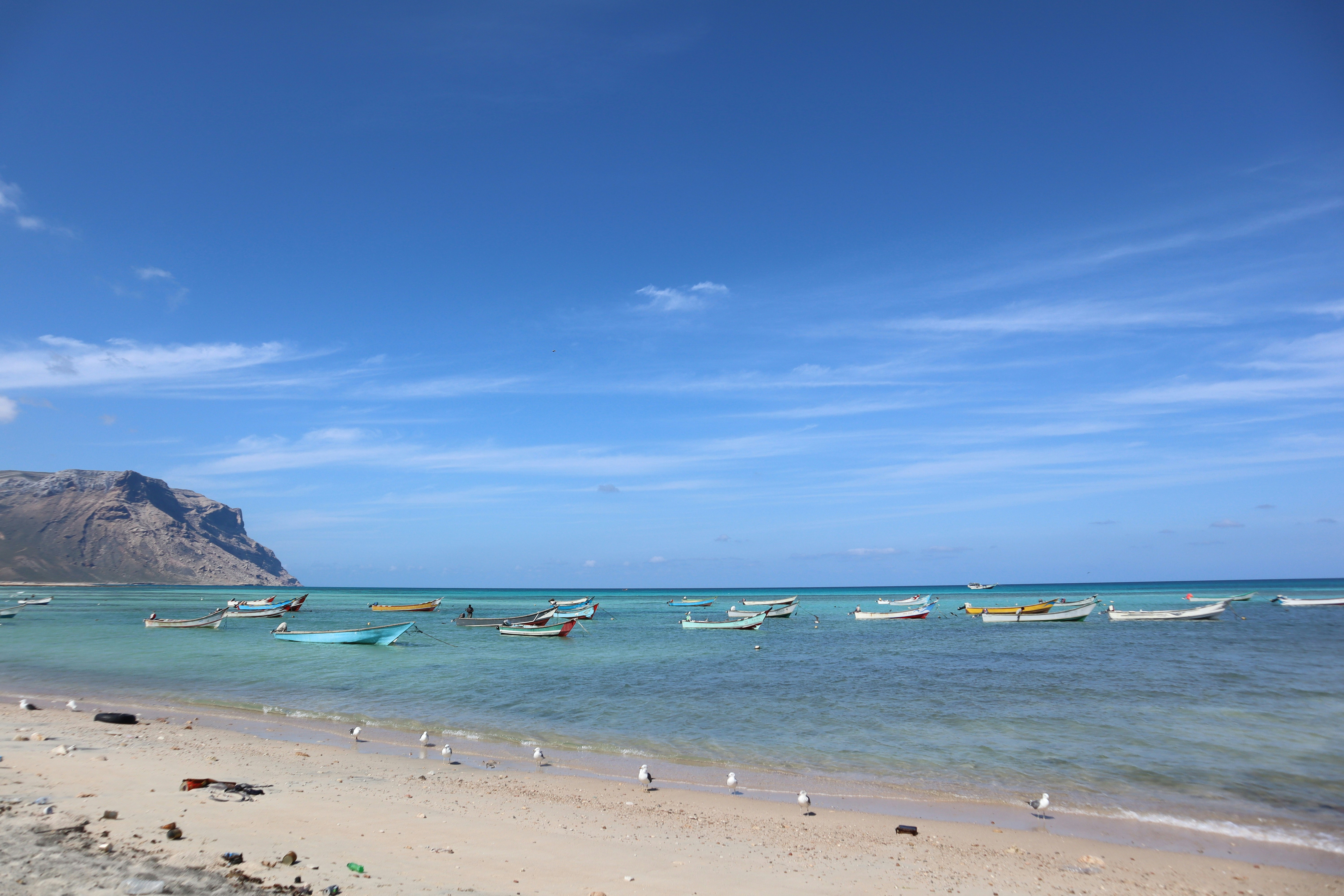 Row of Quiet Boats Resting Across a Turquoise Bay Under a Vast Blue Sky
