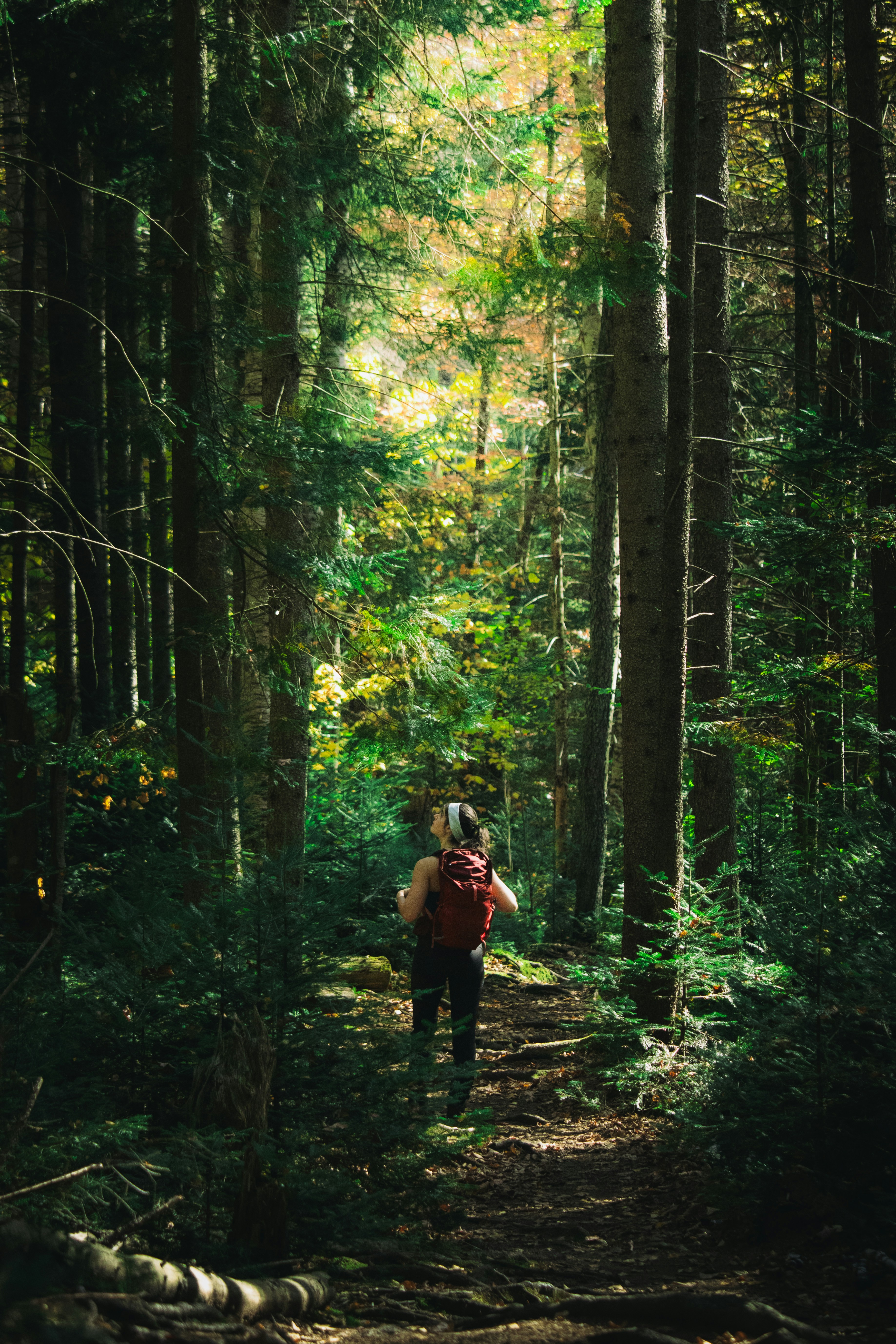 Girl stands in overgrown forest trail