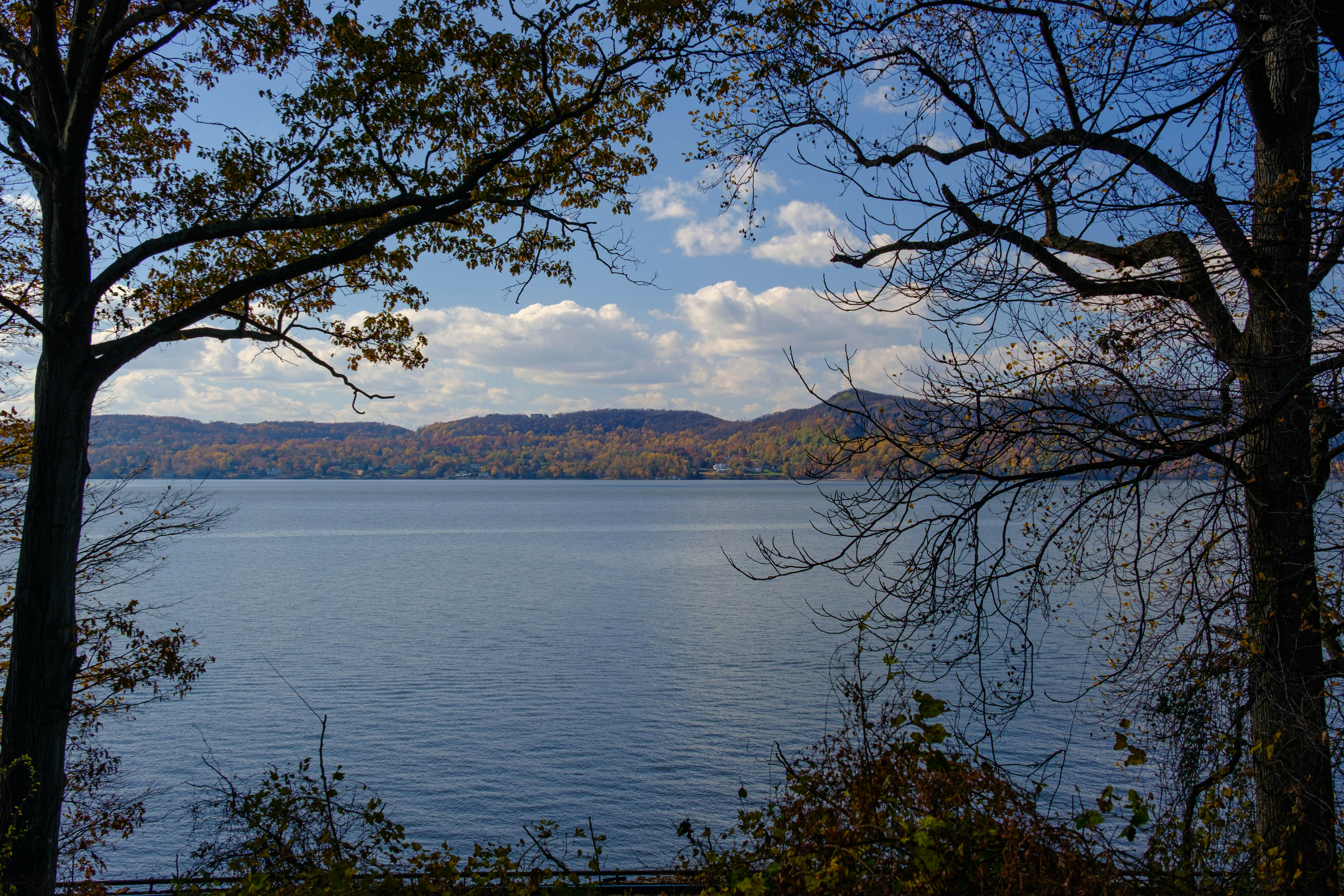 Photo by MICHAEL CHIARA with Fujifilm X-H2S