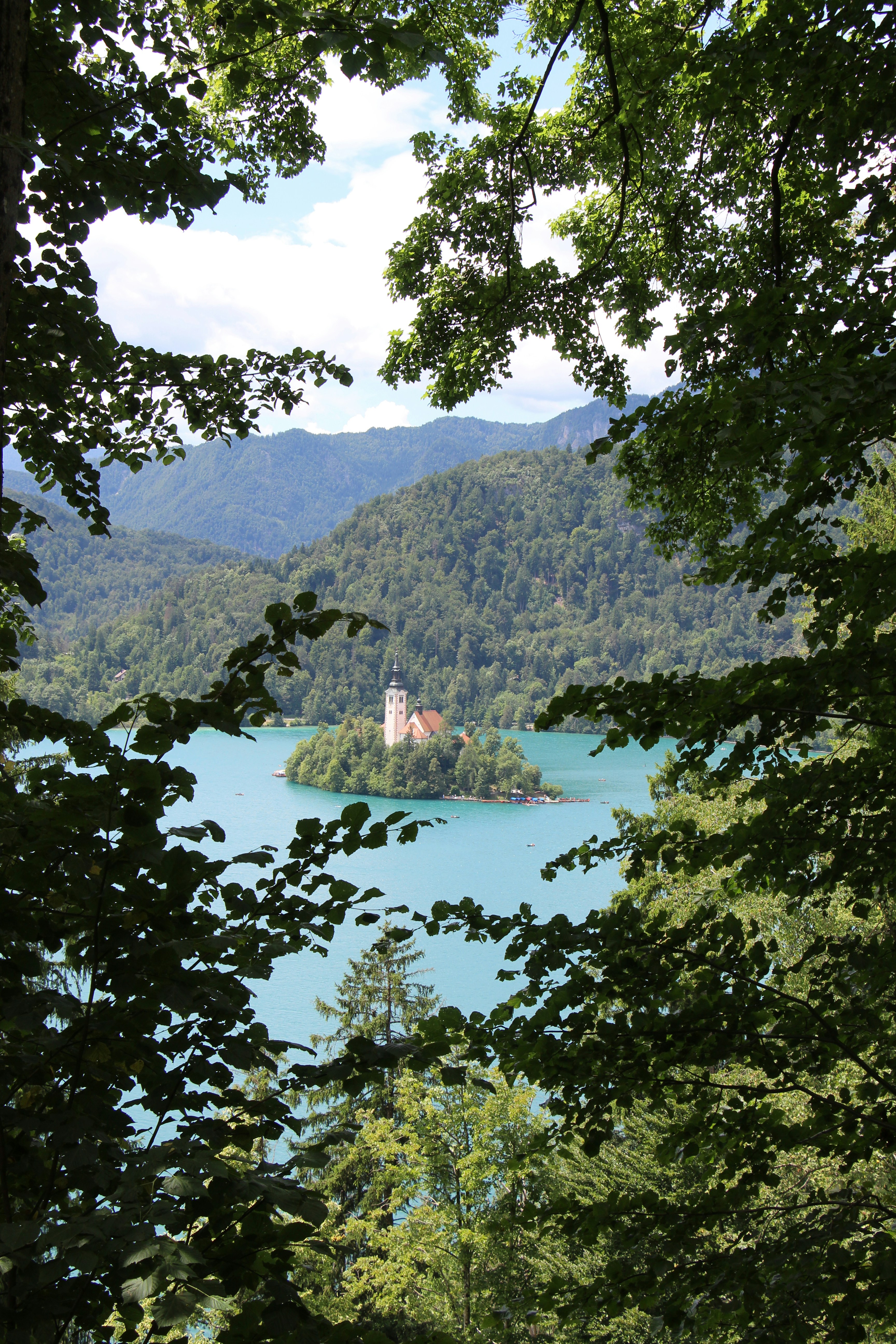 Bled - hike view