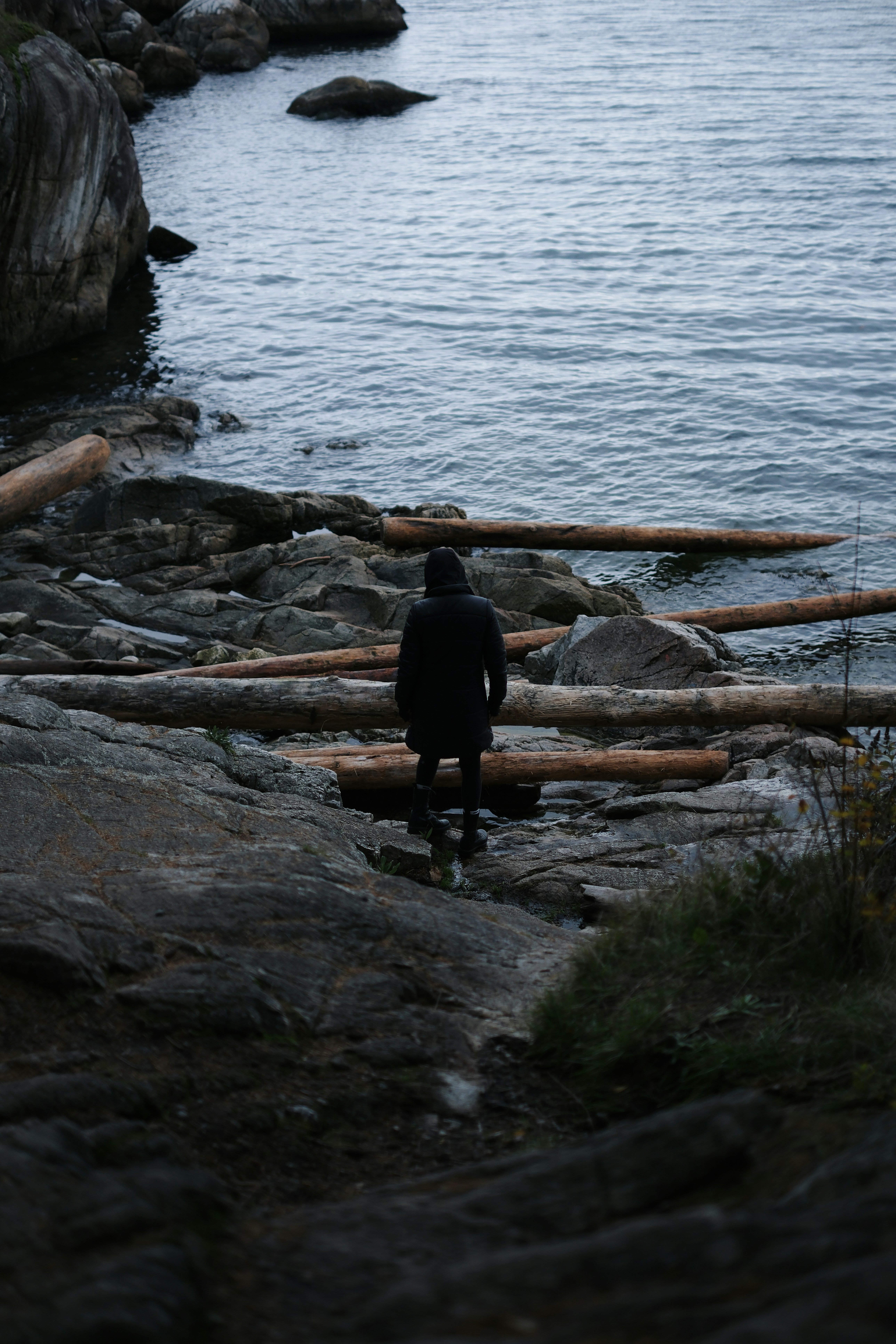 Driftwood Threshold: A solitary figure on a rugged shoreline