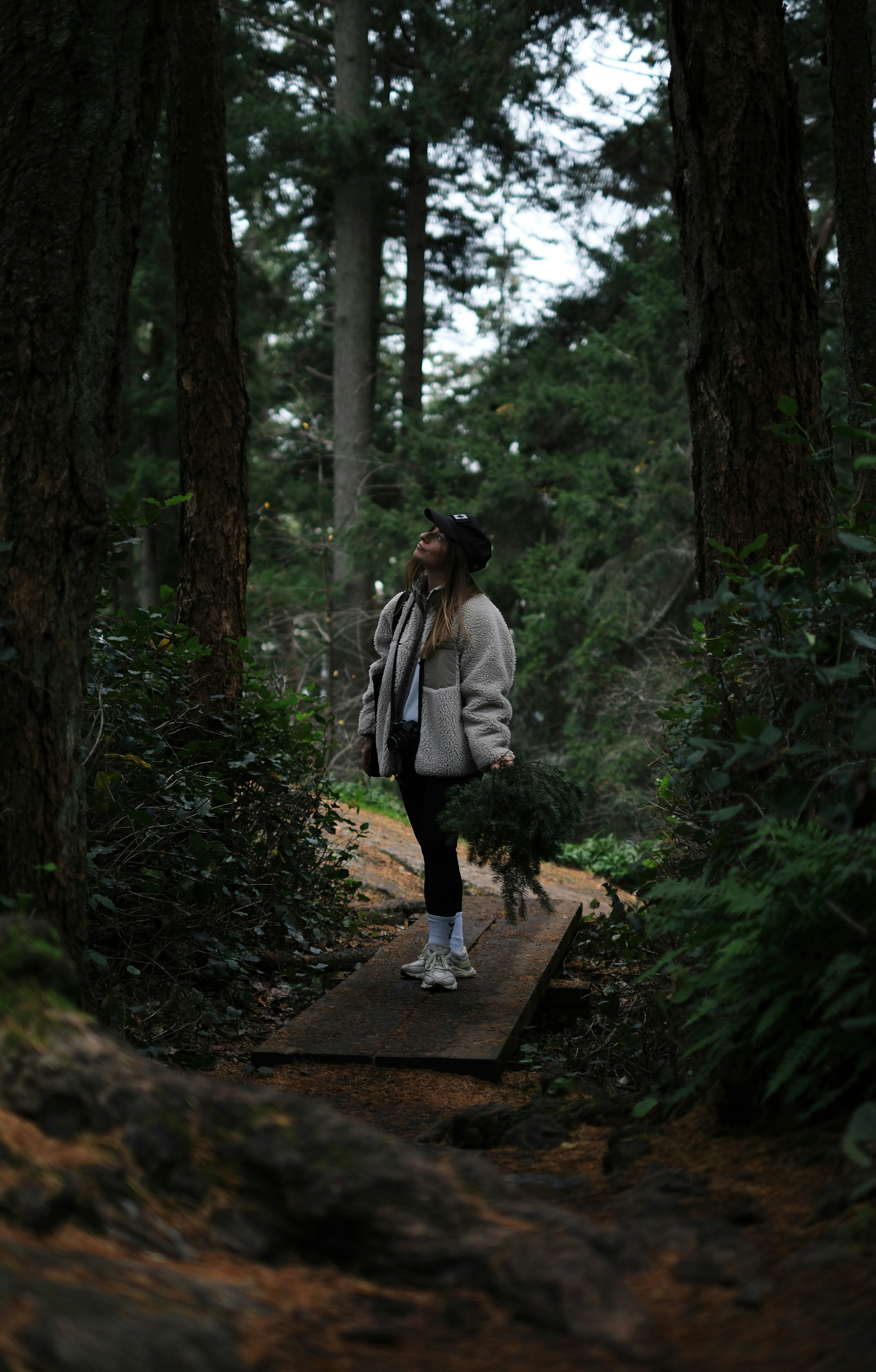 Forest Solitude: A Lone Figure on a Mossy Boardwalk