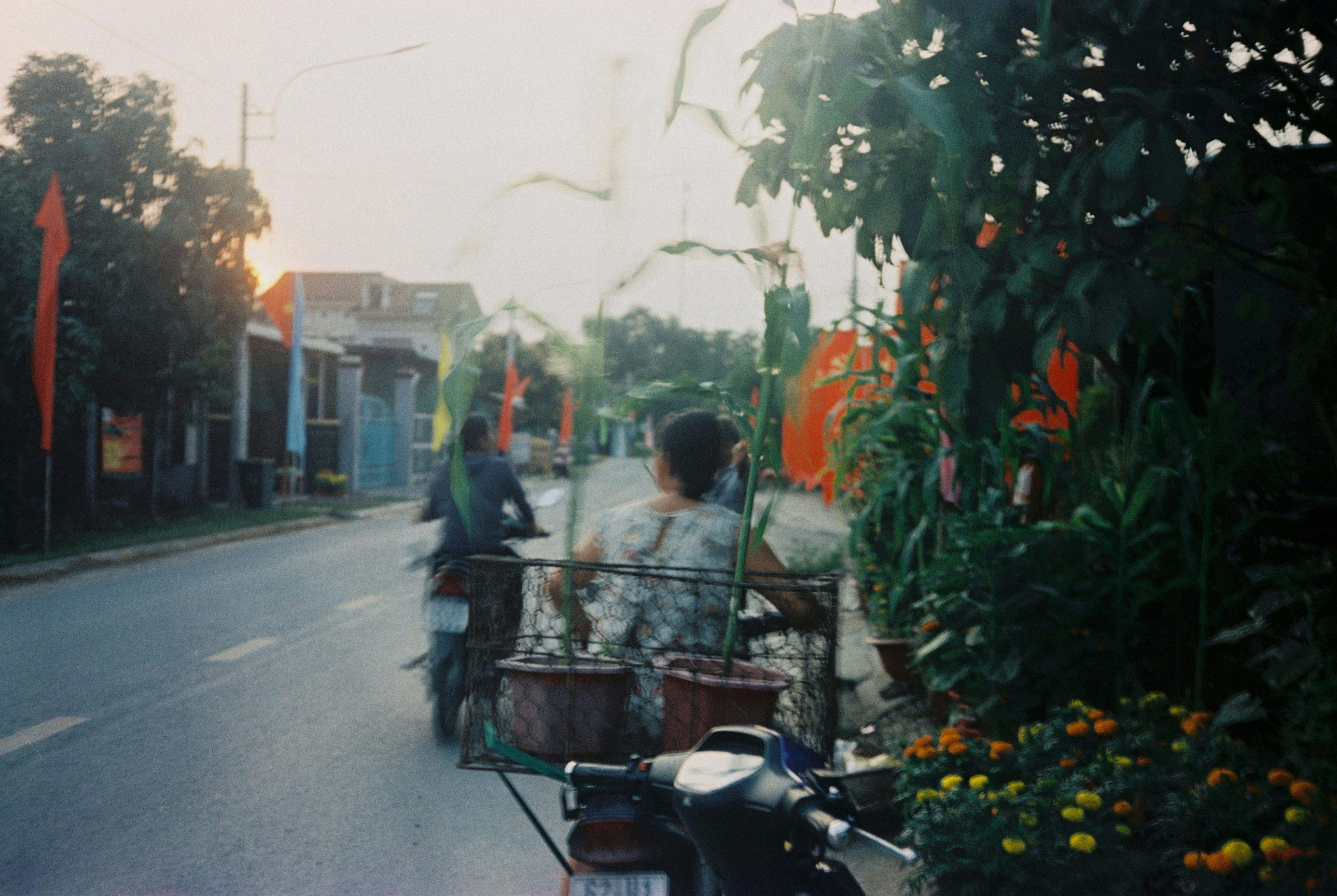 Photo by Le Tran Hoang Oanh with Fujifilm SP-3000