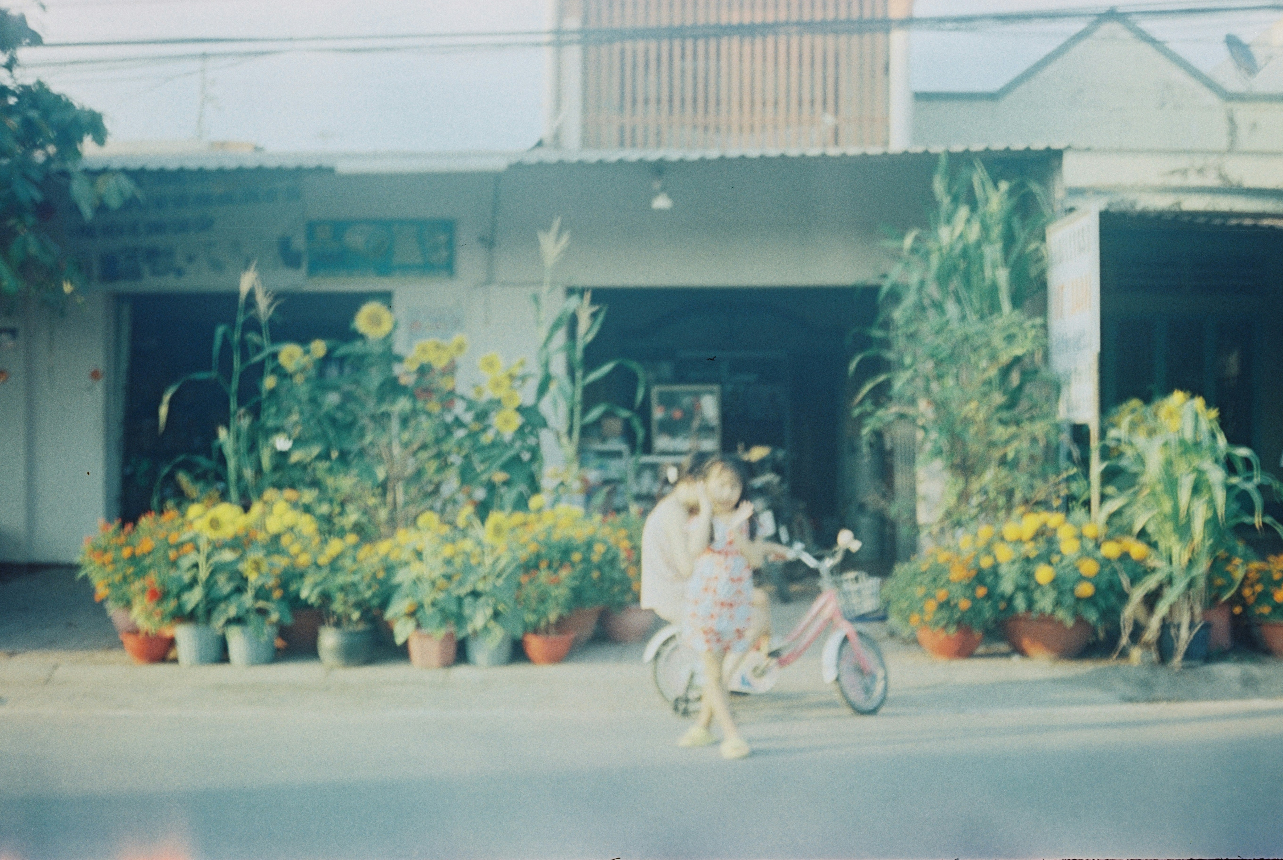 Pastel Quiet: Floral Shopfront, a Pink Bicycle and a Moment of Blur