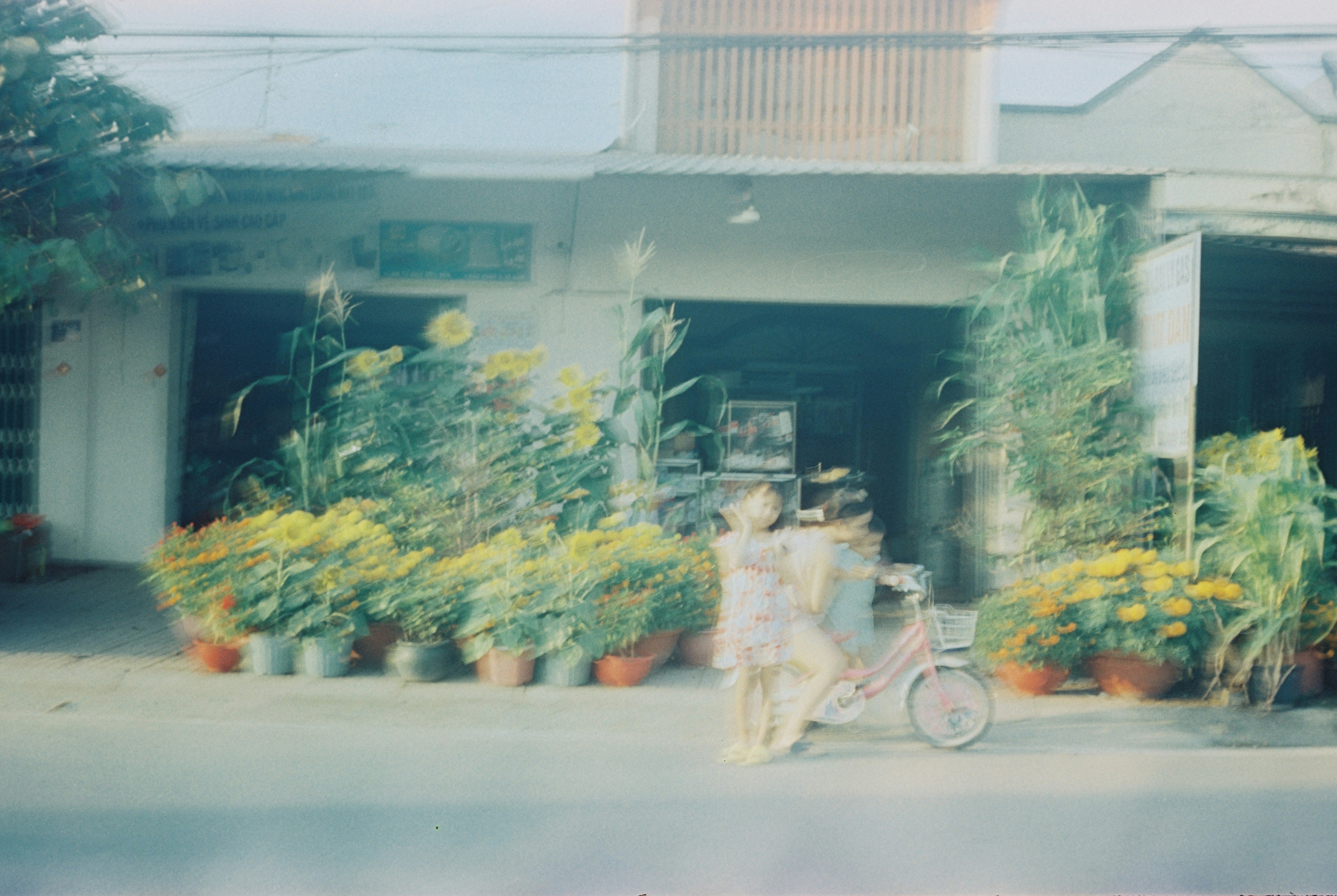 Photo by Le Tran Hoang Oanh with Fujifilm SP-3000