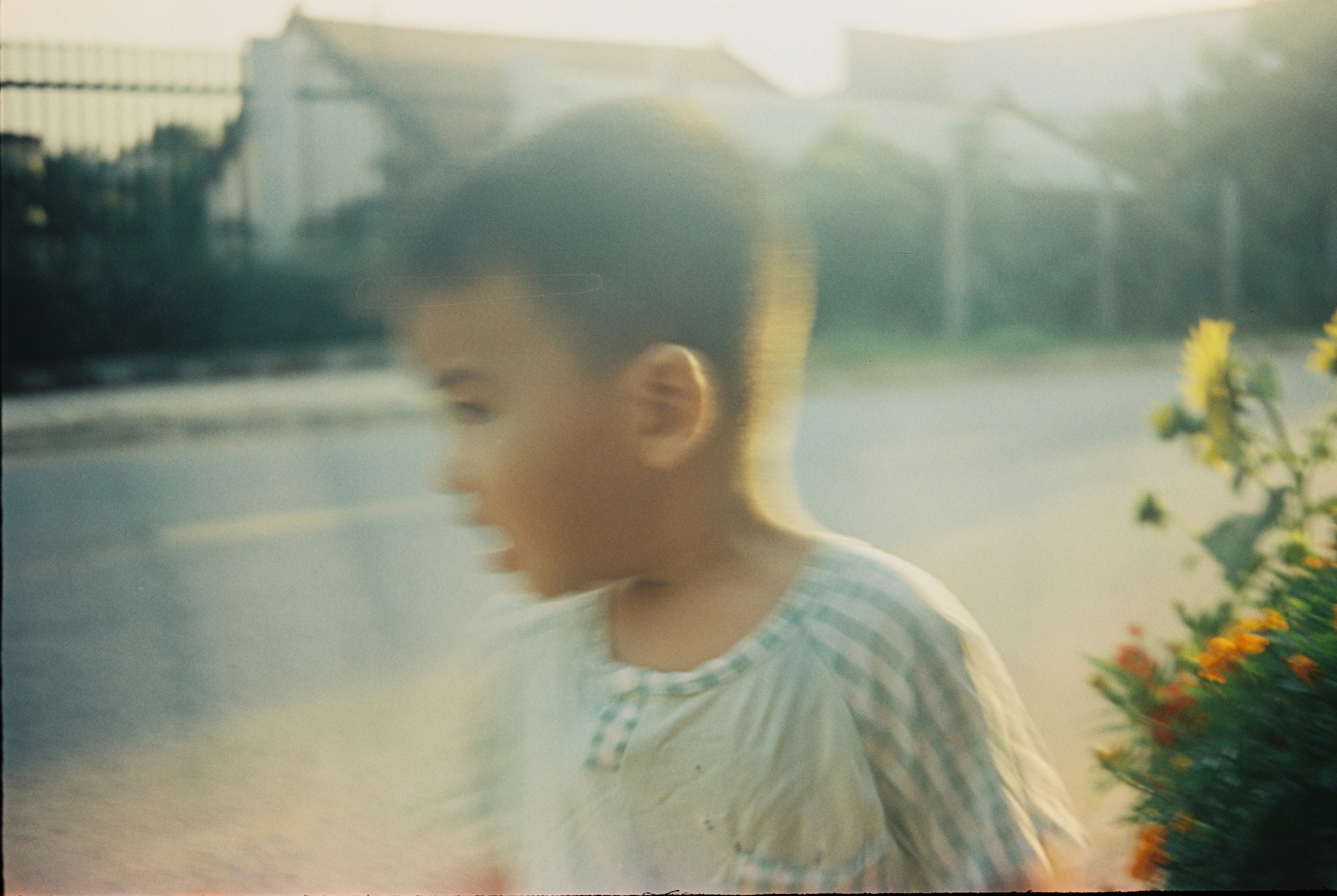 Photo by Le Tran Hoang Oanh with Fujifilm SP-3000