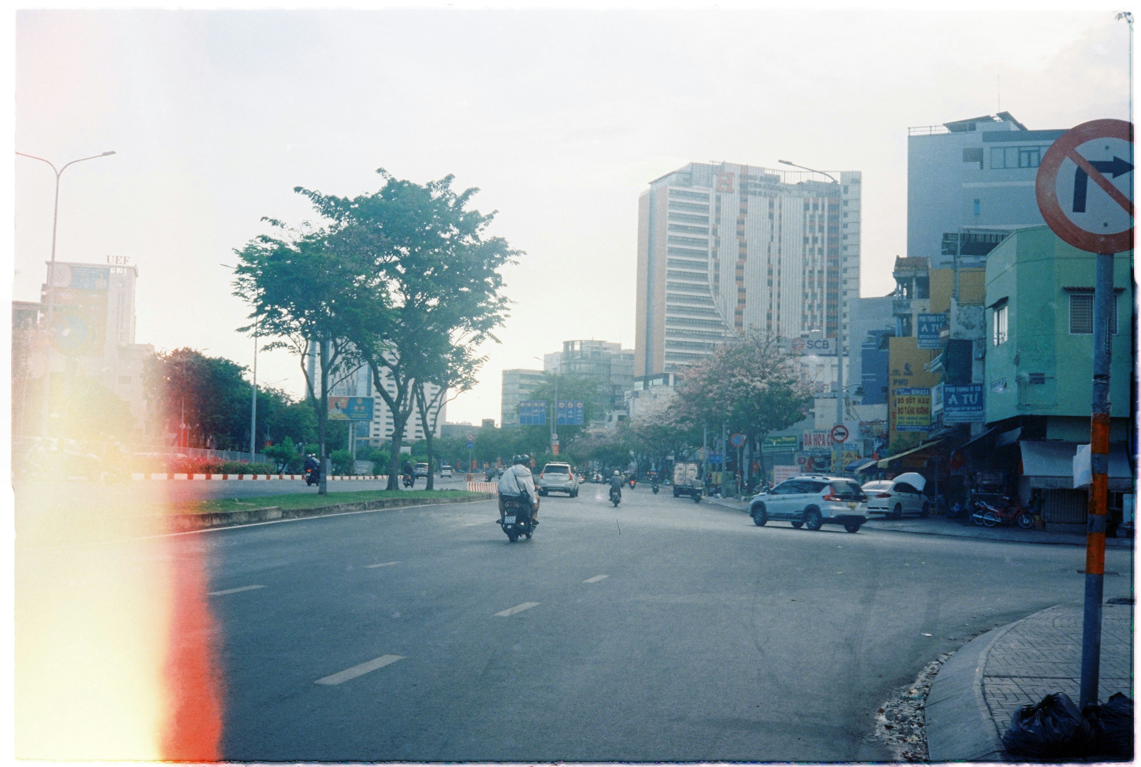 Dusk Street Pulse: A lone scooter threads through a calm, tree-lined avenue
